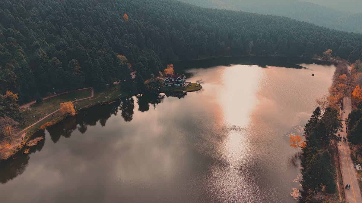 Royalty Free Videos, Download The BEST Free 4k Stock Video Footage ...