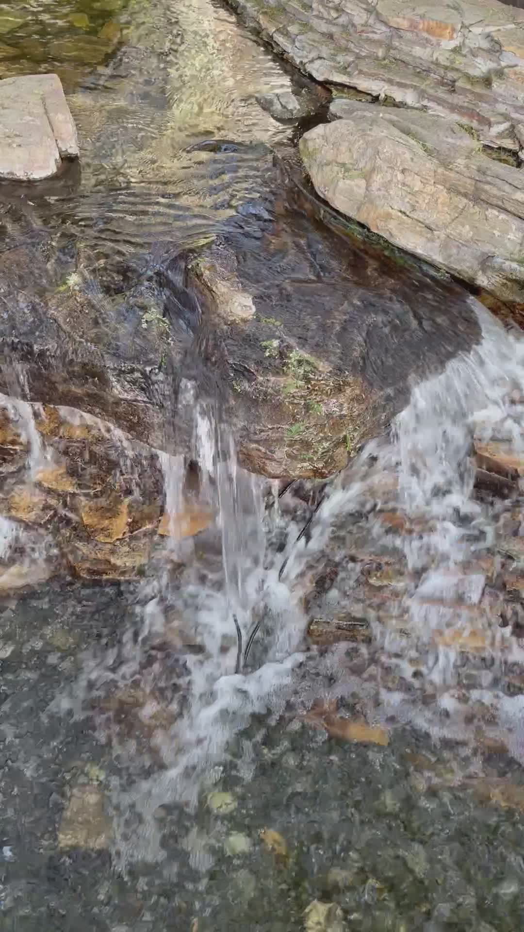 Peaceful Outdoor Stream with Flowing Water Free Stock Video Footage ...