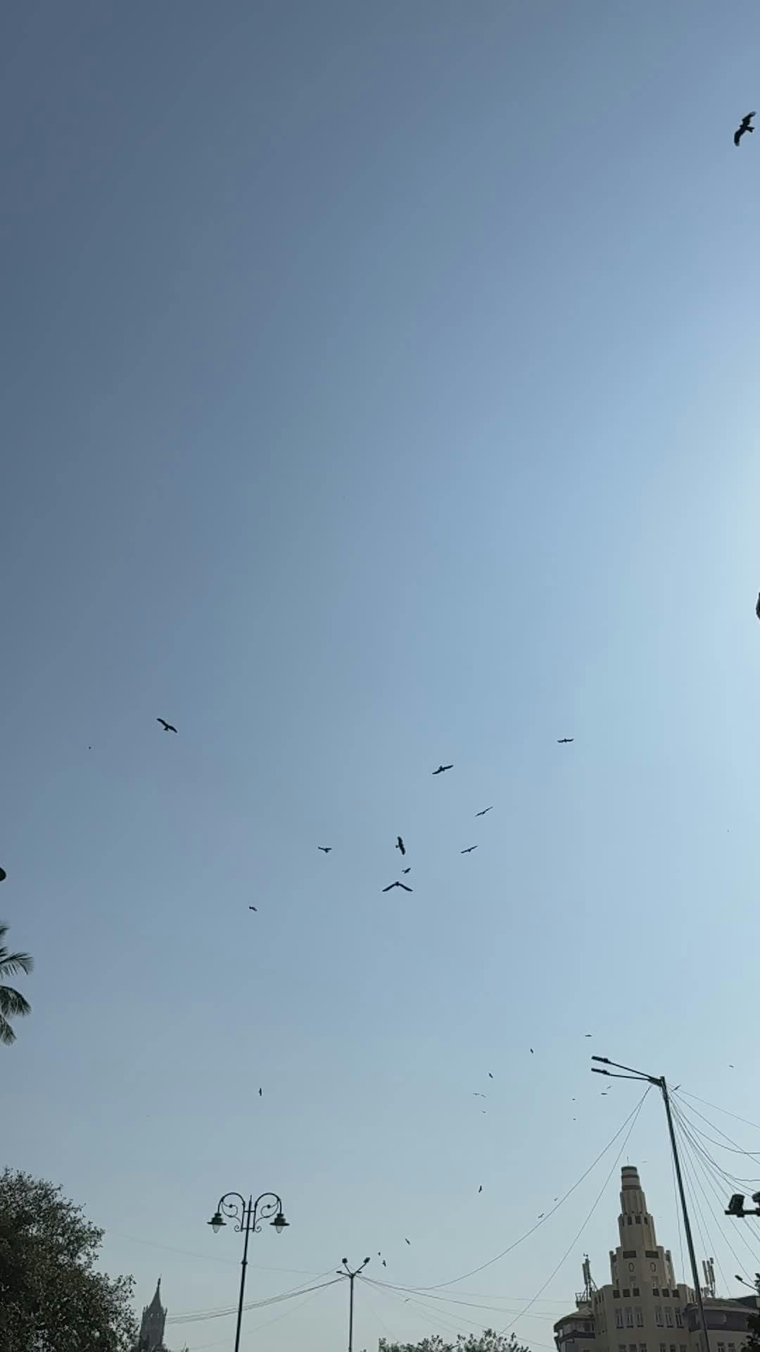 Flight Attendant Money Stack Videos, Download The BEST Free 4k Stock ...