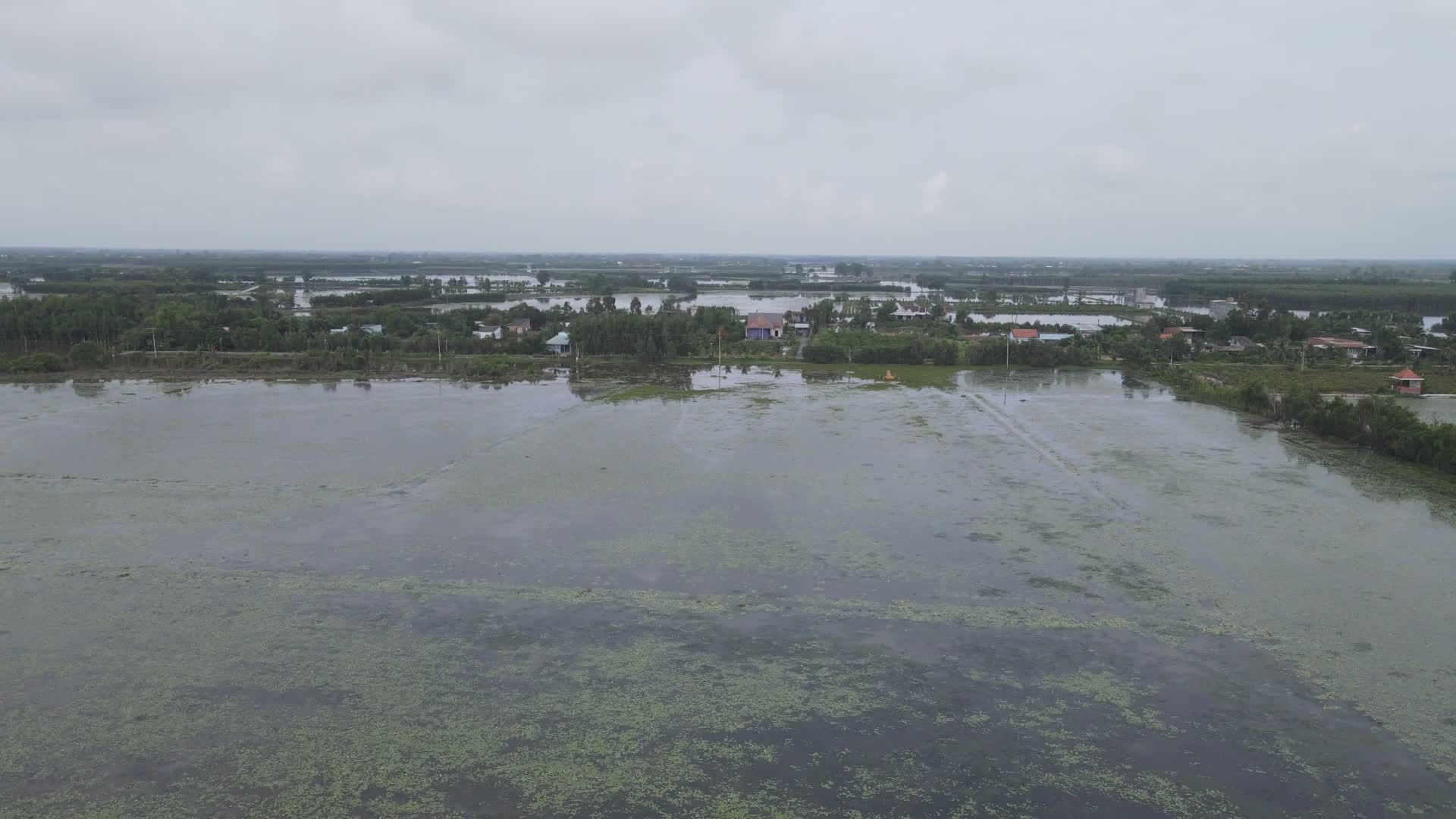 Swamp Cedar Videos, Download The BEST Free 4k Stock Video Footage ...