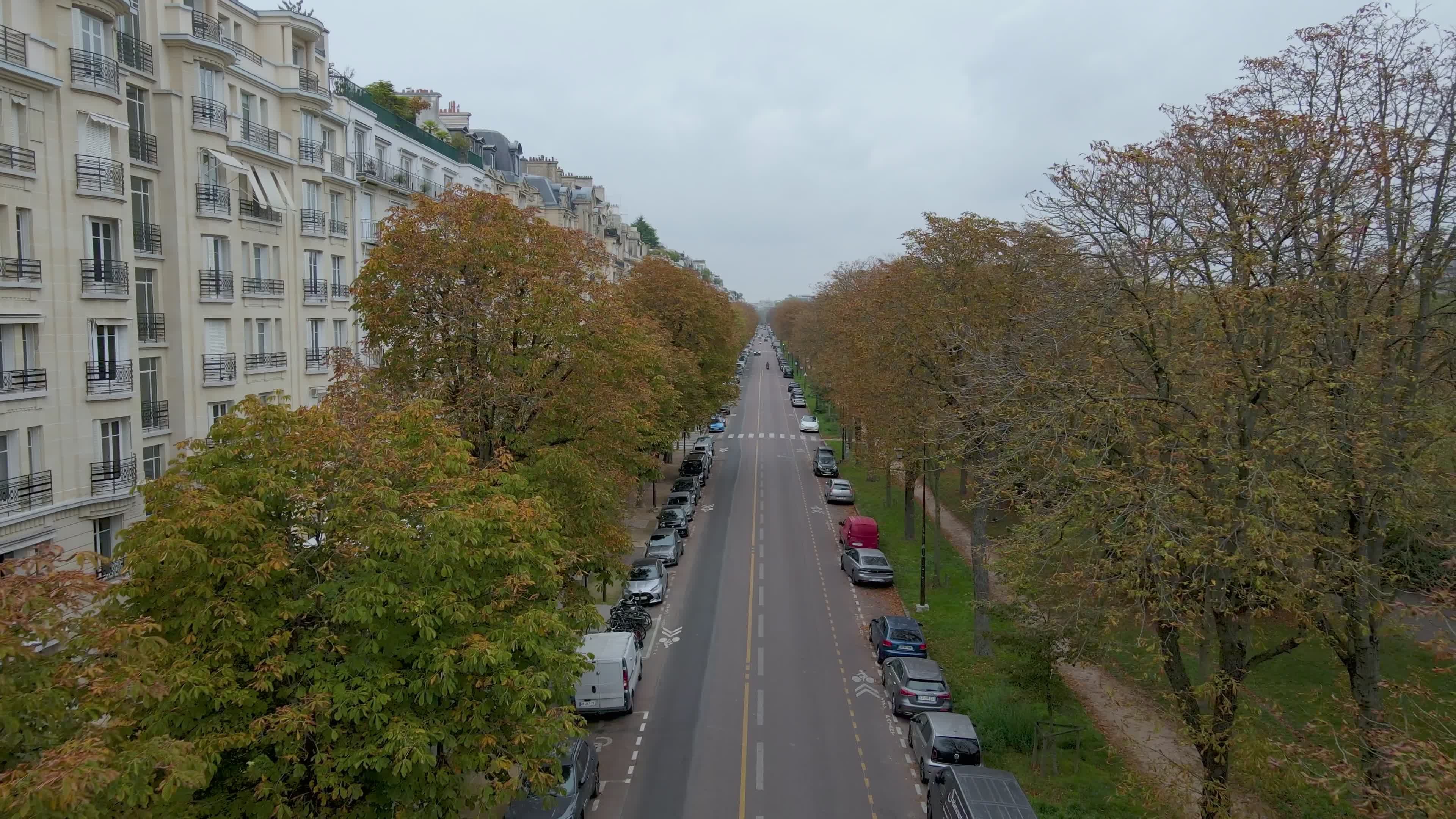 Aerial View of Parisian Tree-Lined Avenue in Fall Free Stock Video ...