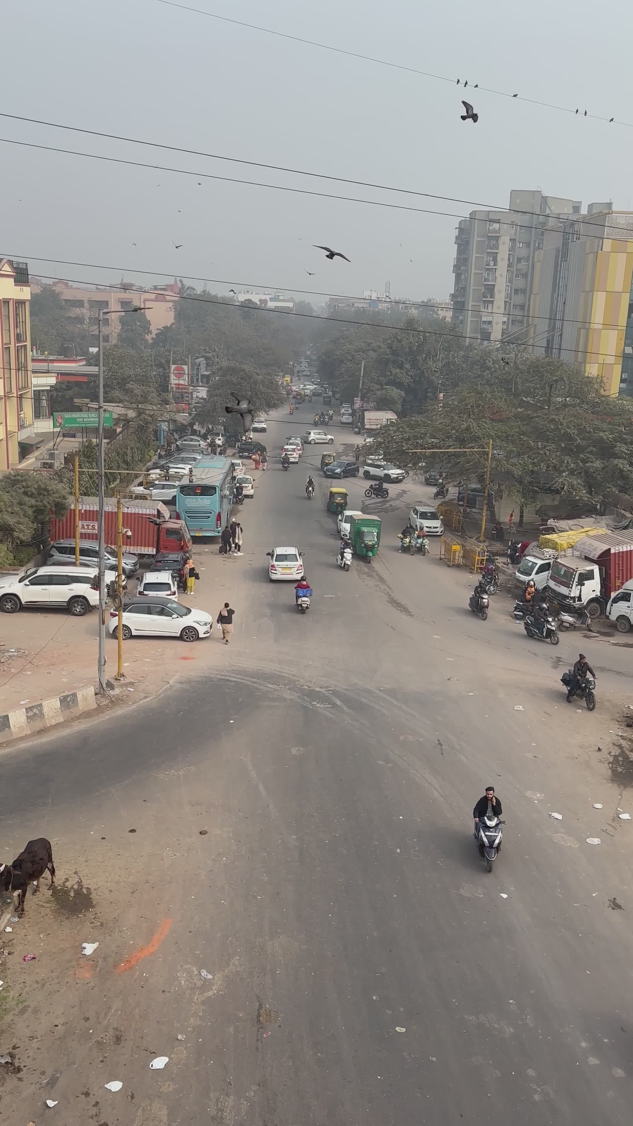 Bustling Urban Intersection in Indian City Free Stock Video Footage ...