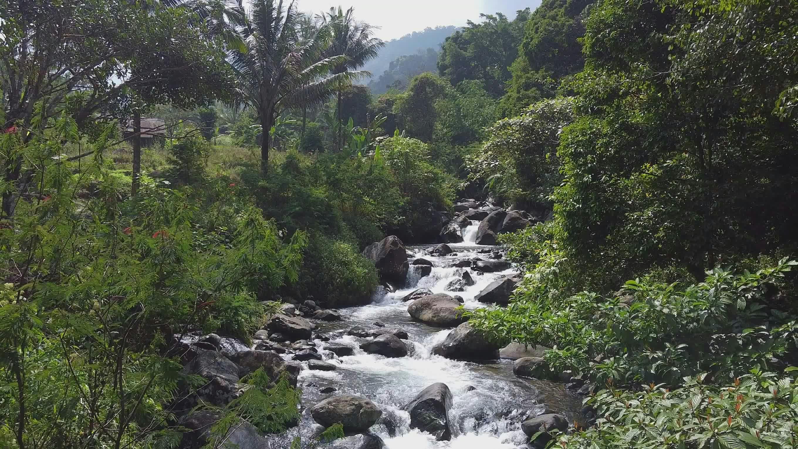 Video+Bokep+Bocil+Smp+Colmek+Basah Videos, Download The BEST Free 4k Stock Video Footage & Video ...