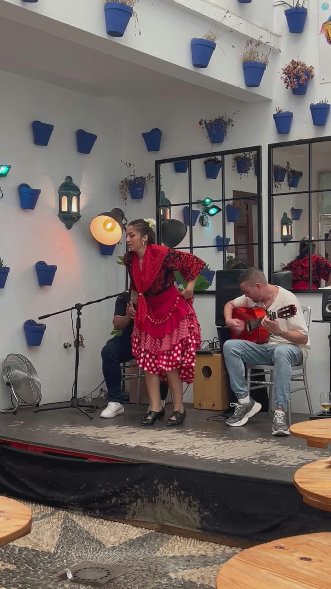 Husky+Dance Videos, Download The BEST Free 4k Stock Video Footage ...