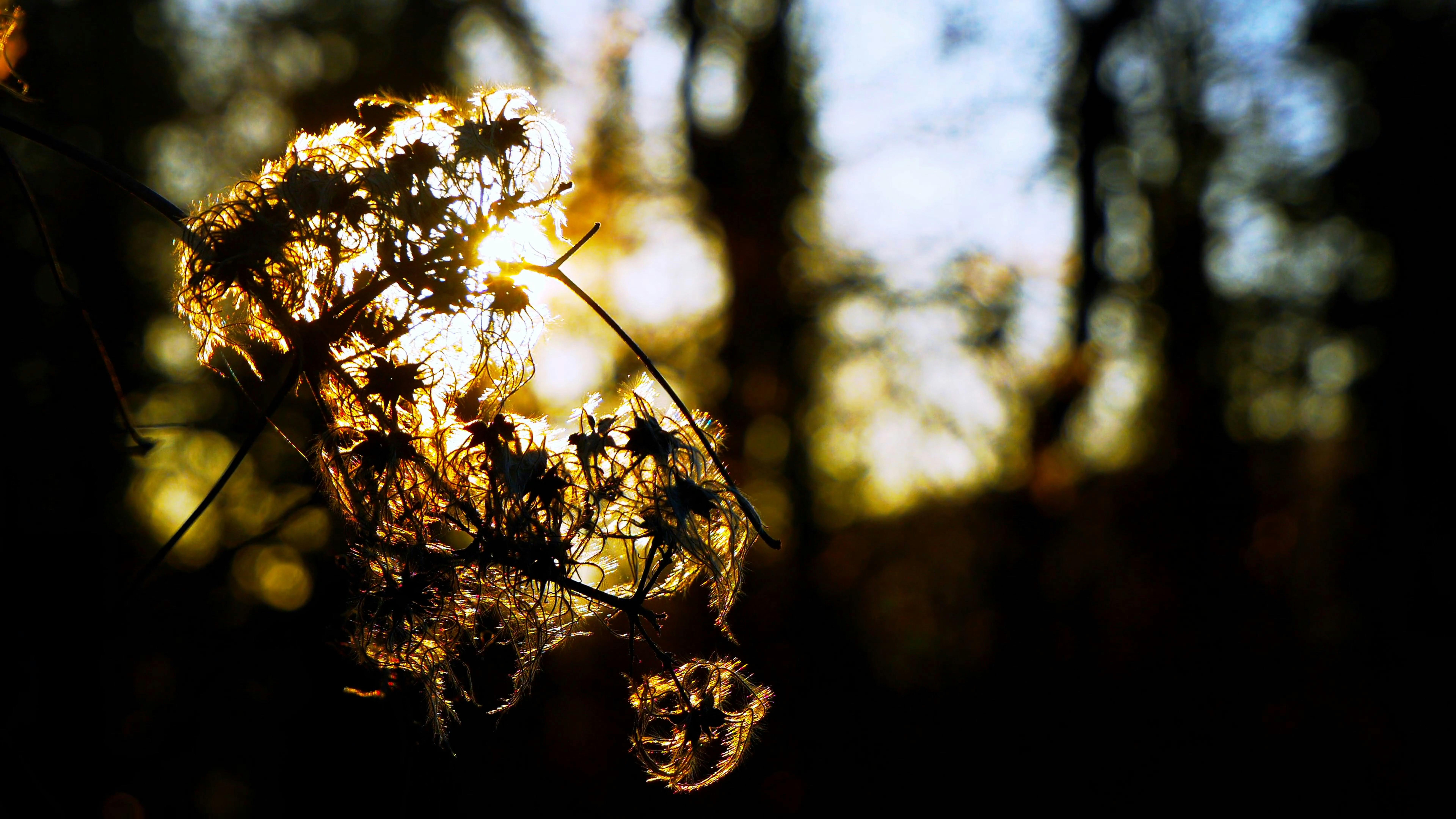 2+ Best Free 8k 4K Stock Video Footage & Royalty-Free HD Video Clips