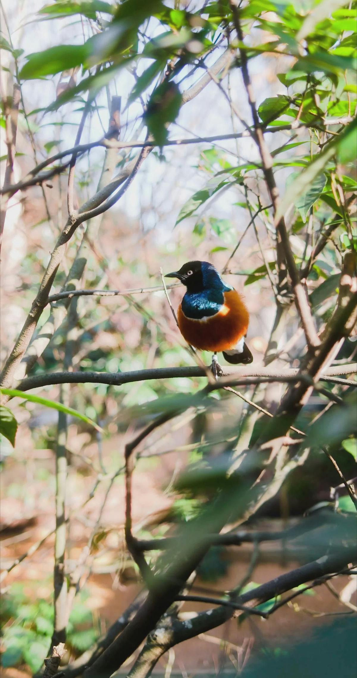 Khubsurat+Sexy+Video+Musalman+Ki+Sexy Videos, Download The BEST Free 4k ...