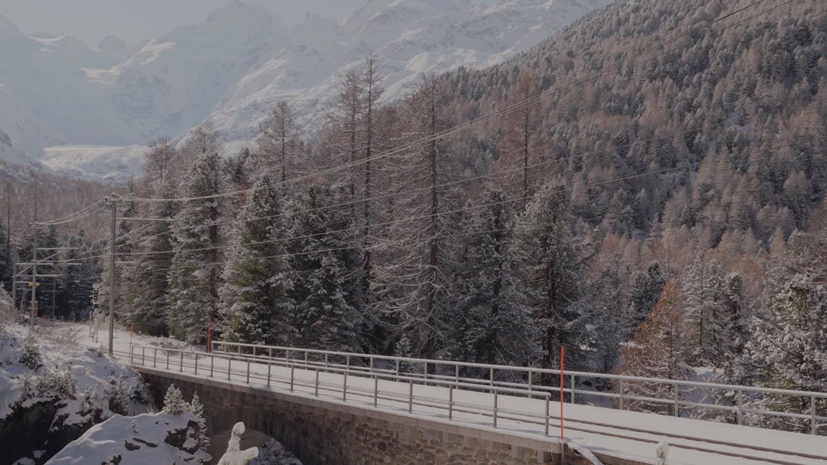 Dan+Dangler+Red+Shirt+Video+Jersey Videos, Download The BEST Free 4k ...