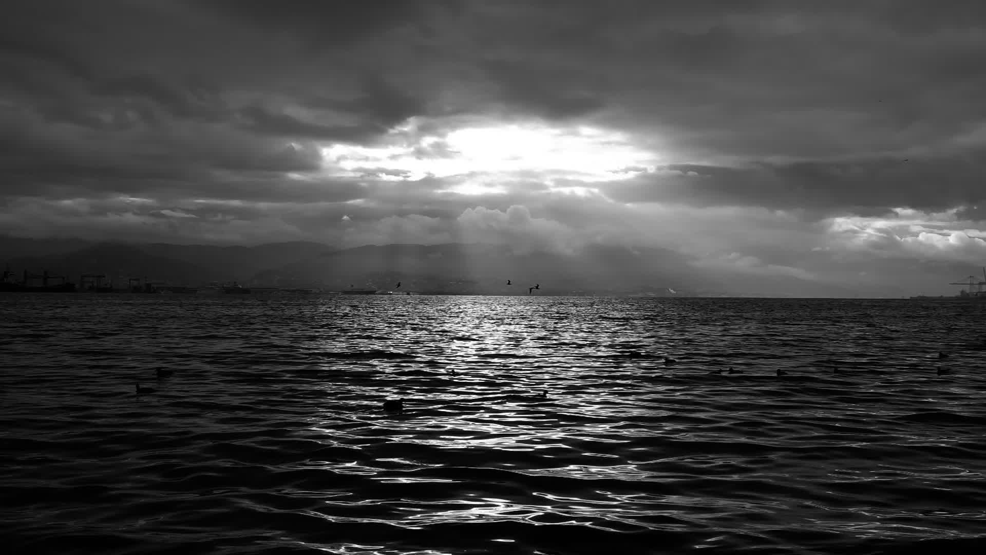 Inspirational Qourte Videos, Download The BEST Free 4k Stock Video ...