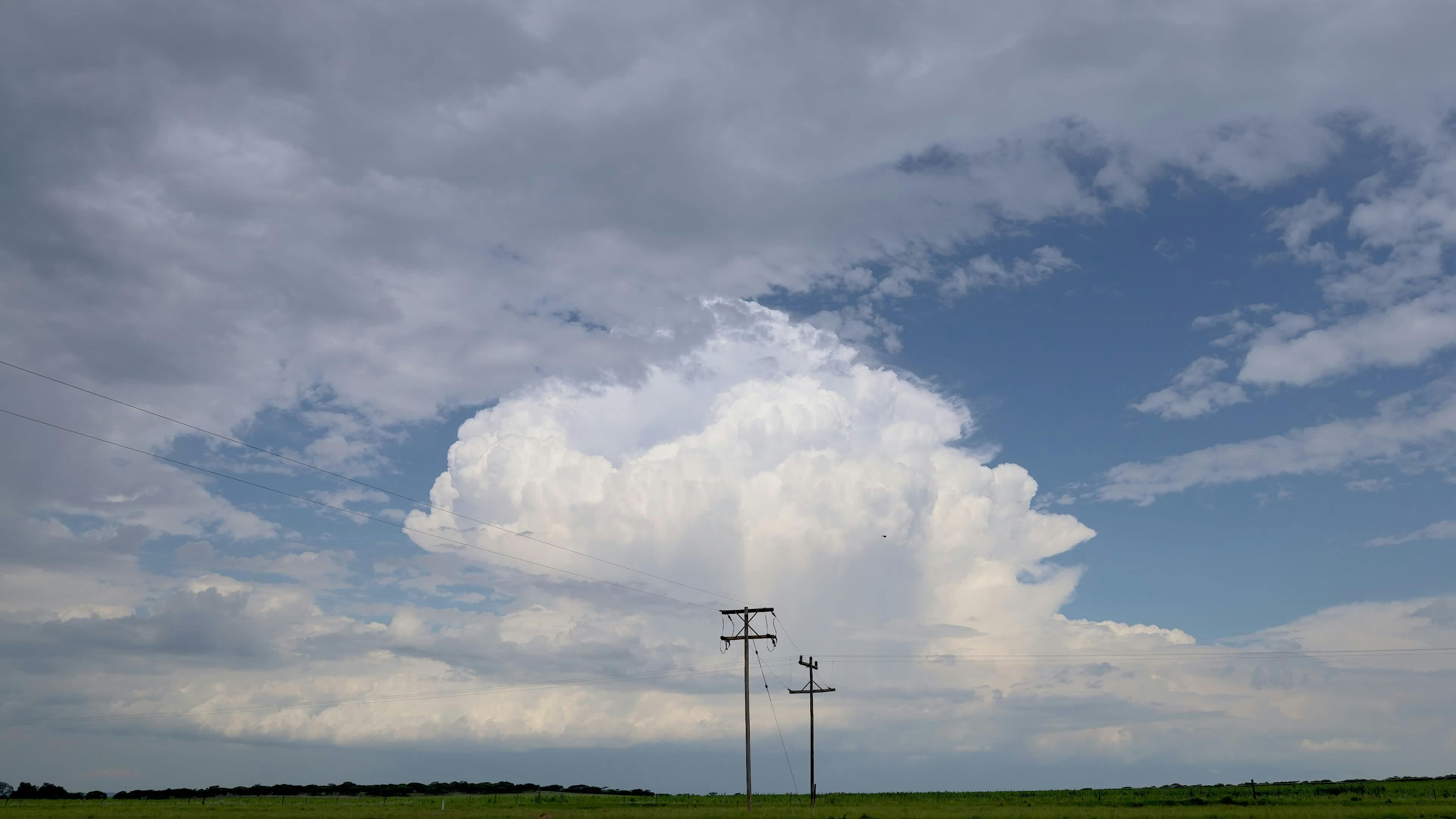 Stunning Timelapse of Cumulonimbus Formation Free Stock Video Footage ...