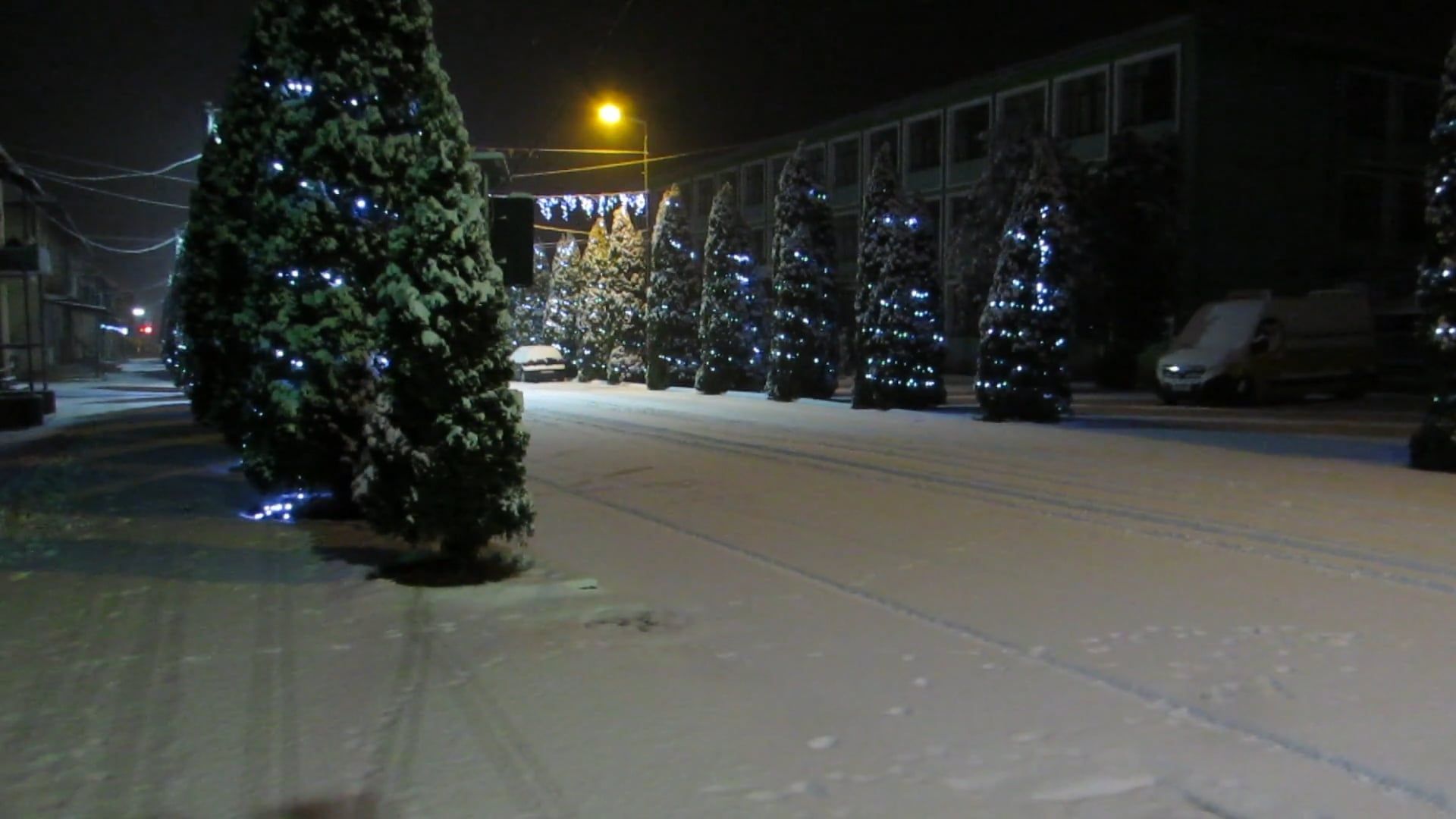 Lines Of Christmas Tree Wit Lights Decorating The Side Of Street ...