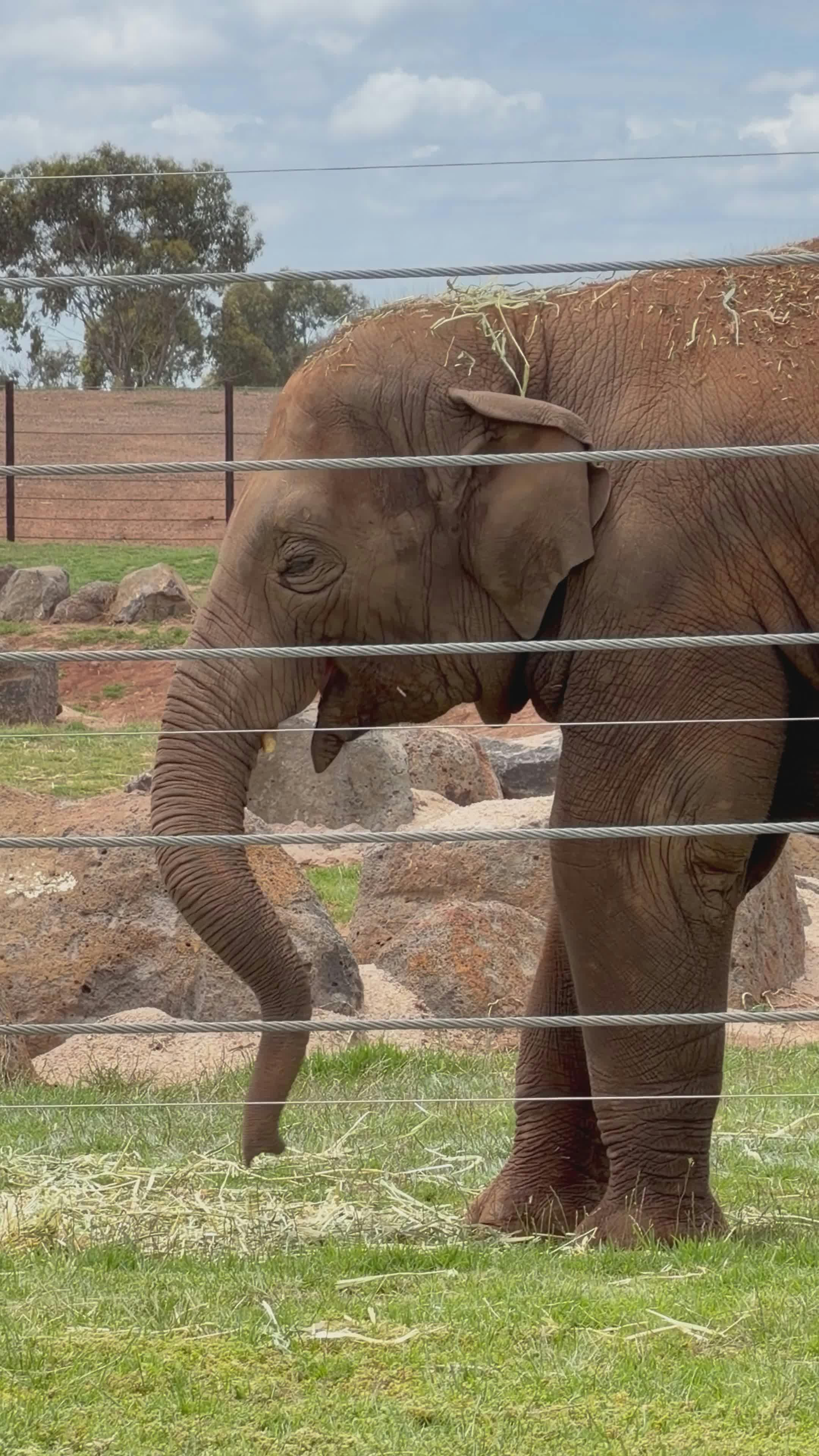 Yandex+Bokep+Jepang+Mom Videos, Download The BEST Free 4k Stock Video Footage & Yandex+Bokep ...