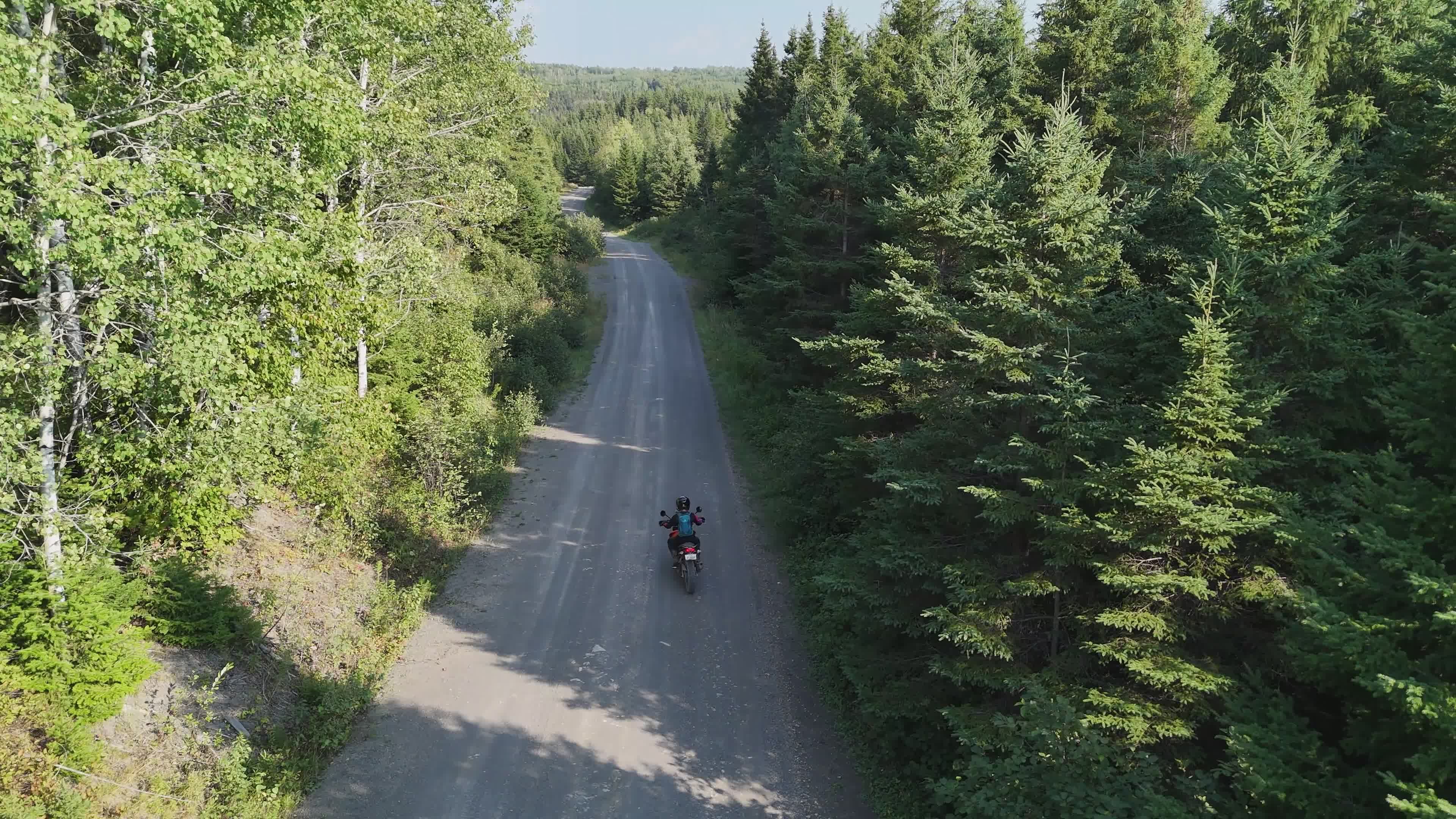 Scenic Drone Footage of Forest Ride in Summer Free Stock Video Footage ...