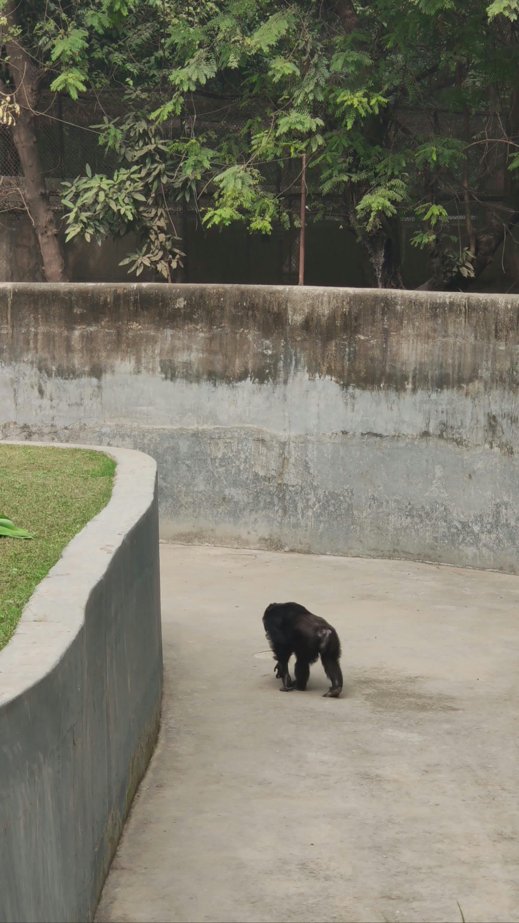 Ape+Tube+X+Vido Videos, Download The BEST Free 4k Stock Video Footage ...