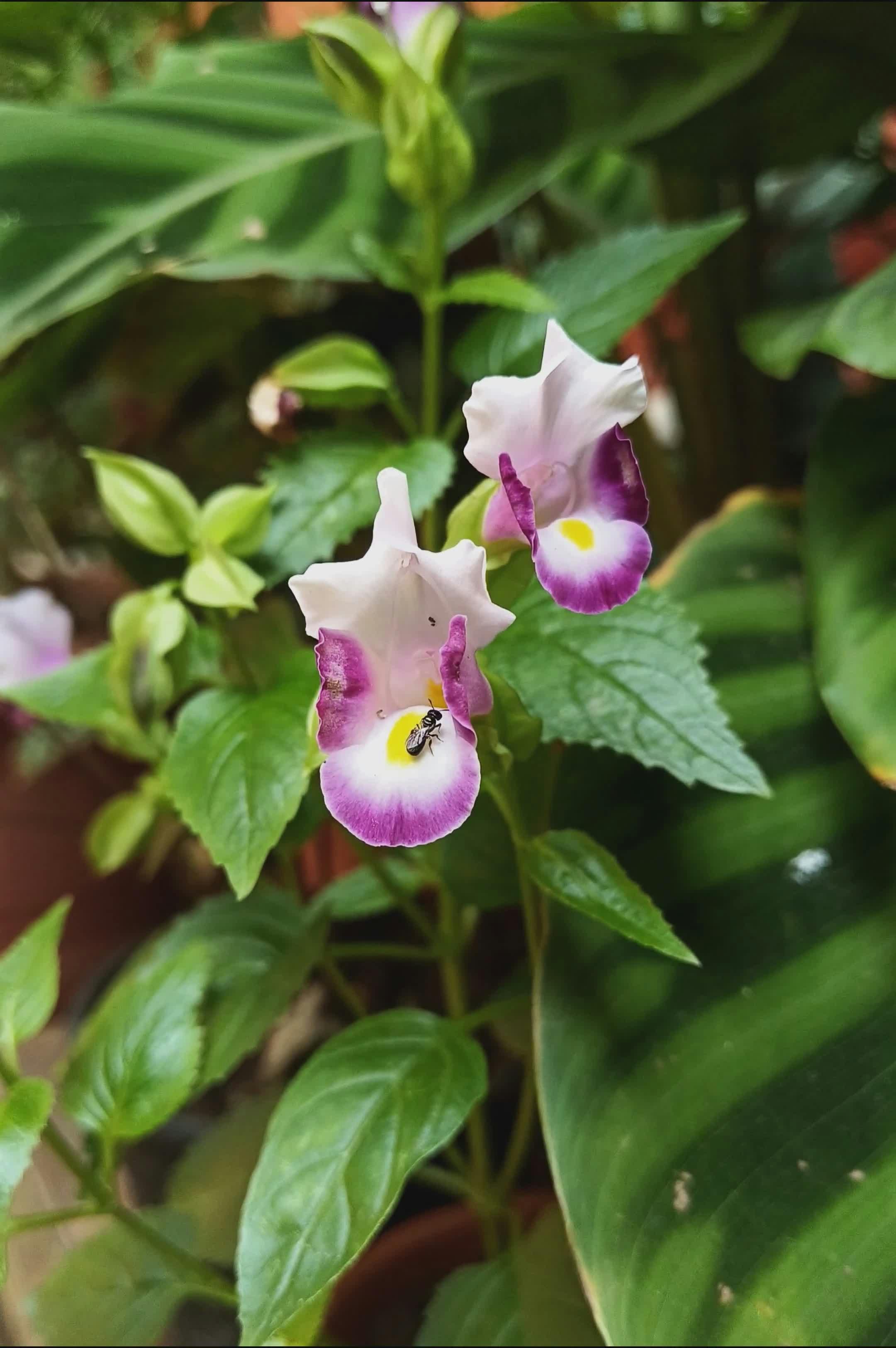 2.000+ Video Map関数の使い方を教えて Terbaik · Unduh Gratis 100% · Video Stok Pexels