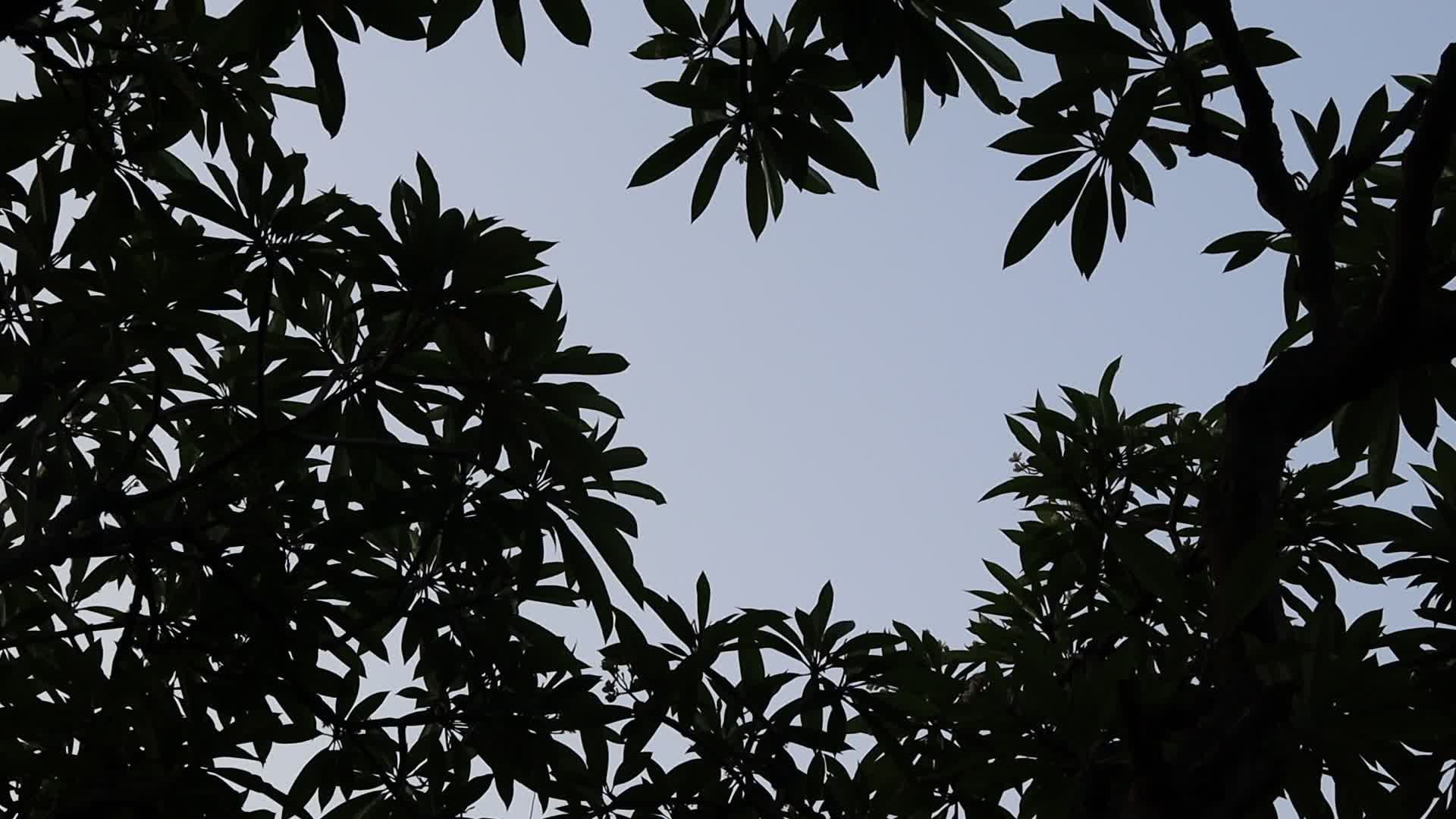 Dharmik Background Videos, Download The BEST Free 4k Stock Video ...