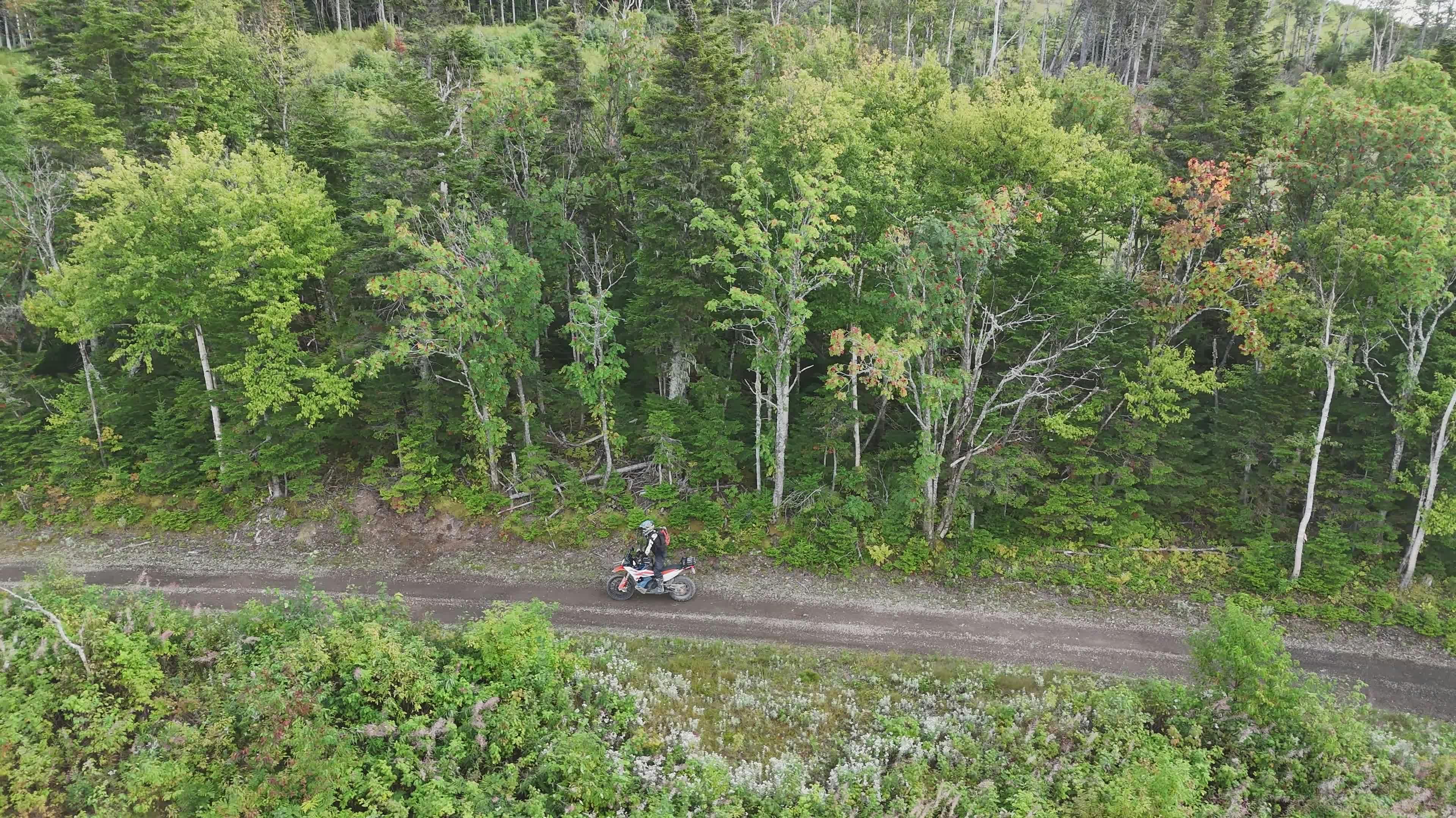 Hung+Hairy+Men+Erking+Off+Together Videos, Download The BEST Free 4k ...