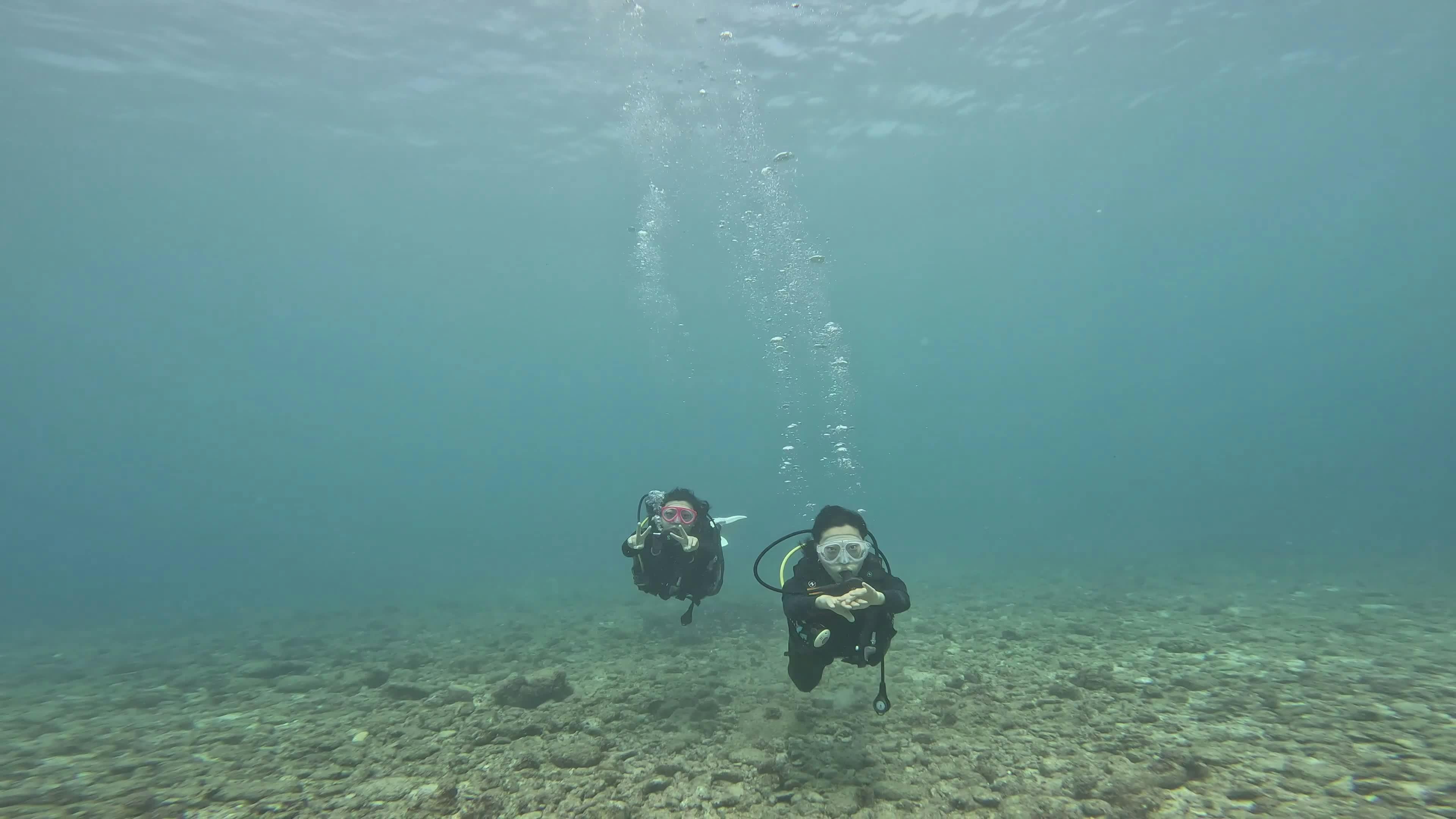 Find+Her+Ndes Videos, Download The BEST Free 4k Stock Video Footage ...