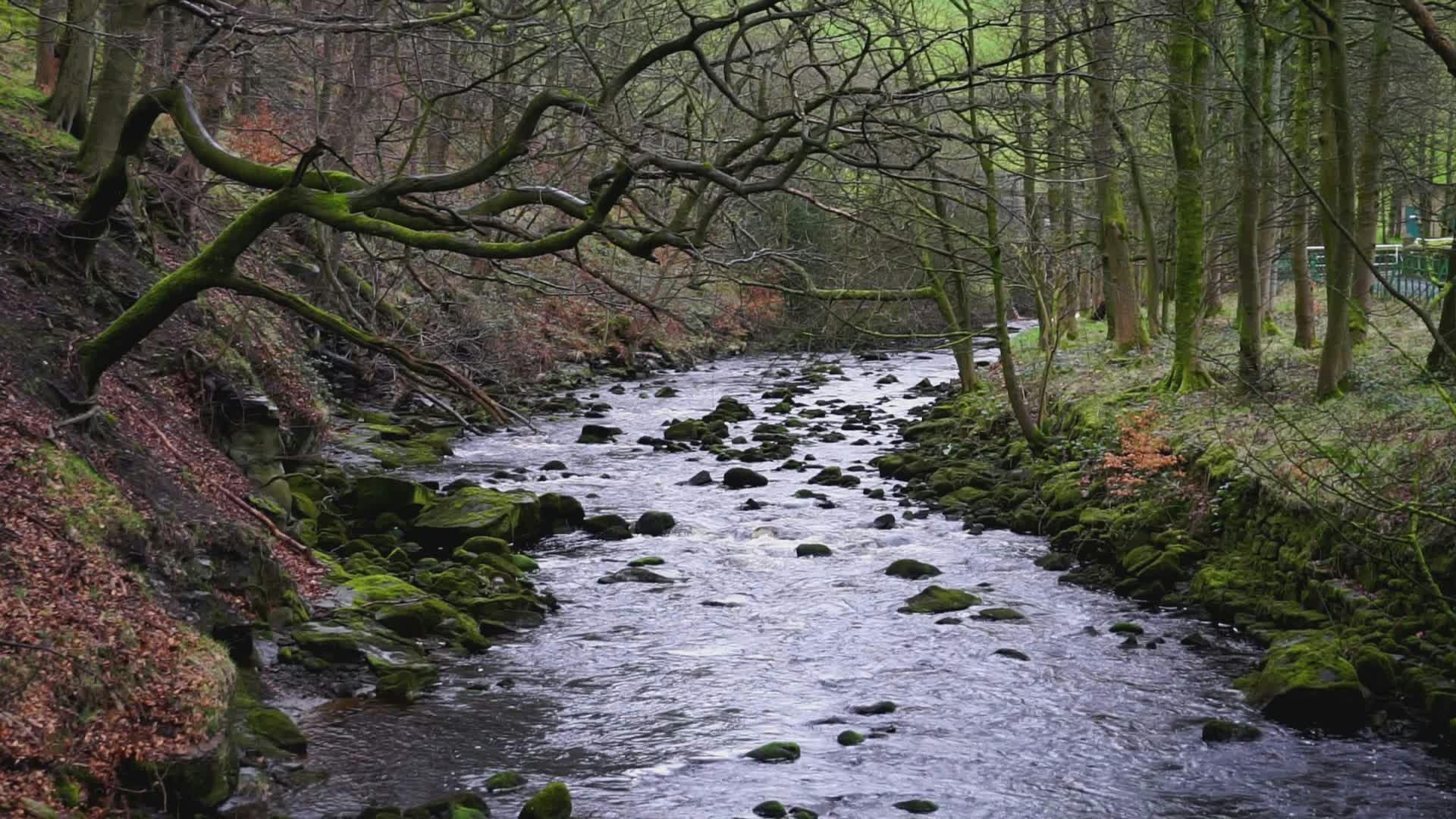 Frontrowsports+Streaming Videos, Download The BEST Free 4k Stock Video ...