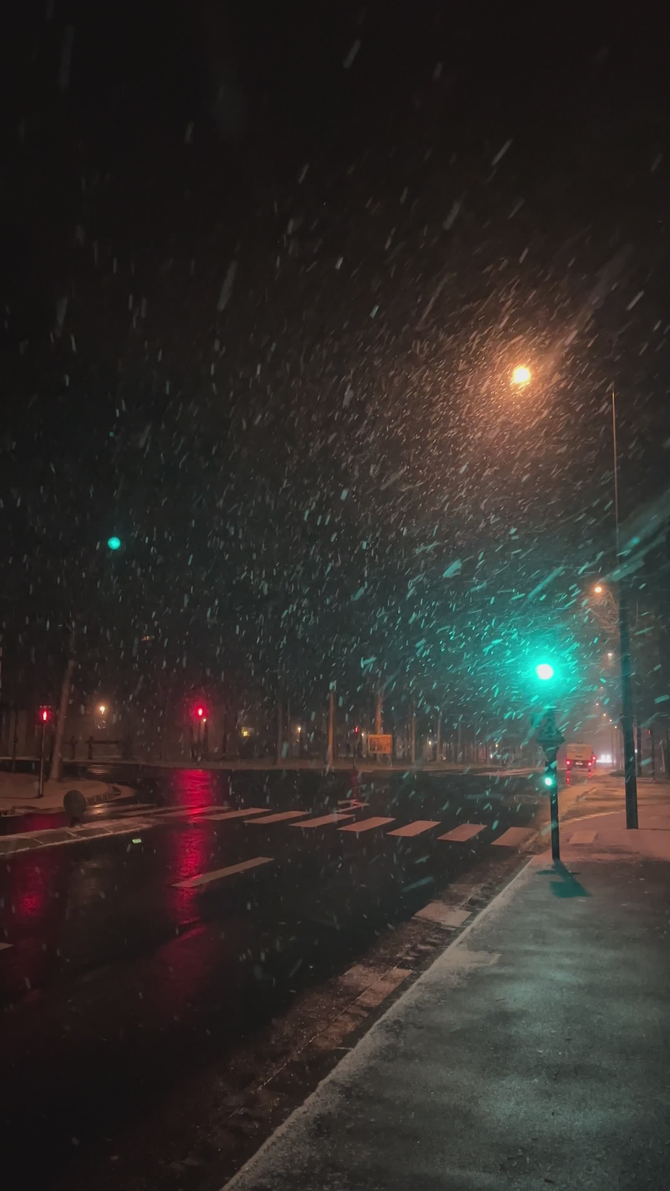 Snowfall on Quiet City Street at Night Free Stock Video Footage ...