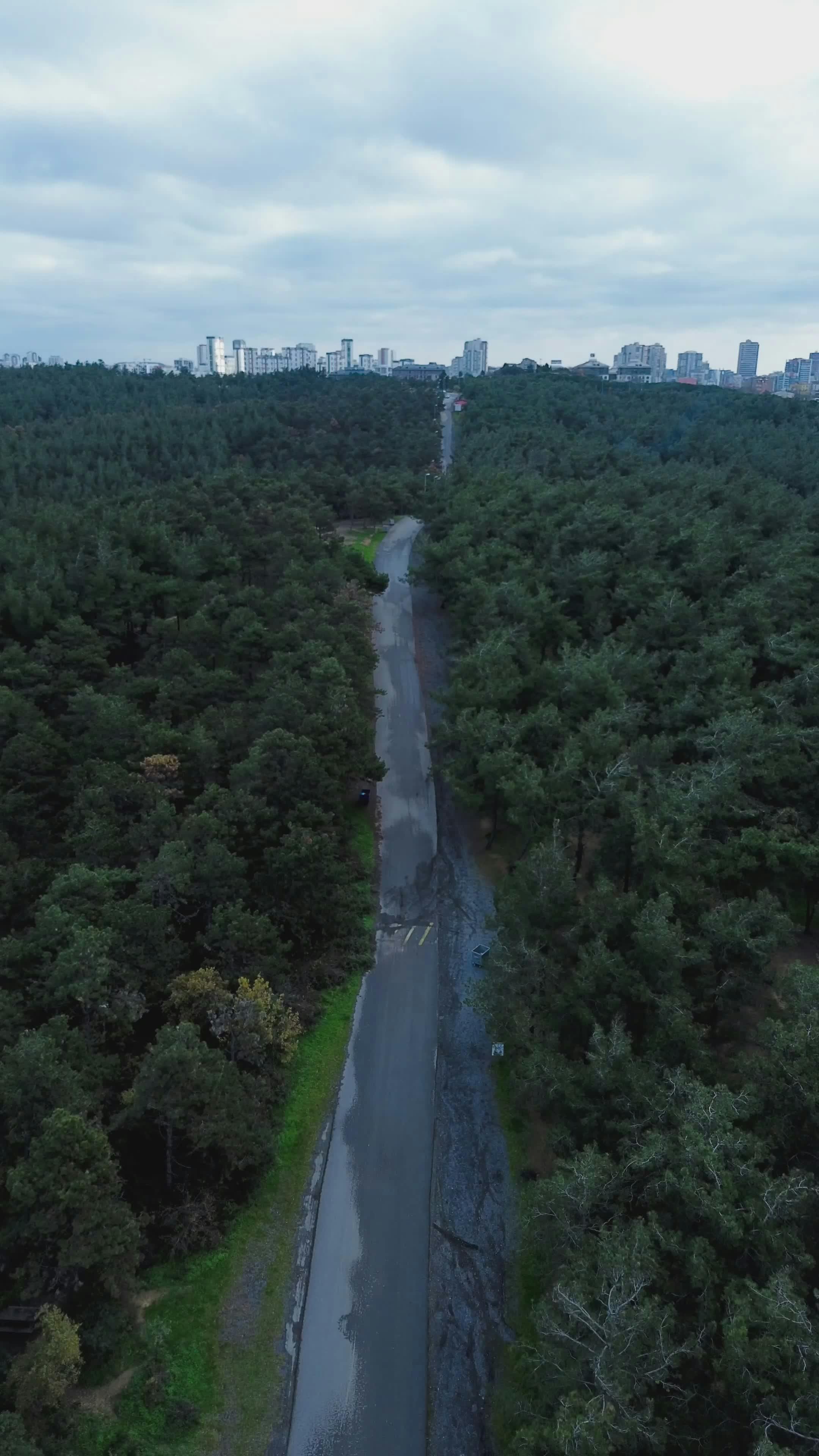Aerial View of Forest Road Leading to City Free Stock Video Footage ...