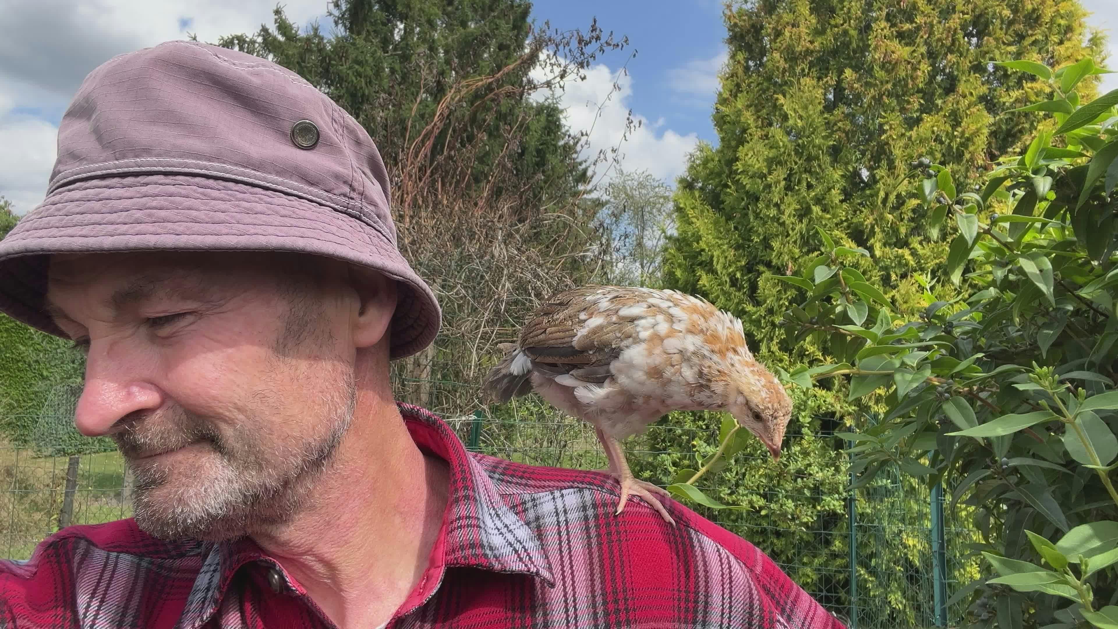 Un Homme âgé à L'extérieur Avec Une Jeune Femme Sur L'épaule · Vidéo ...