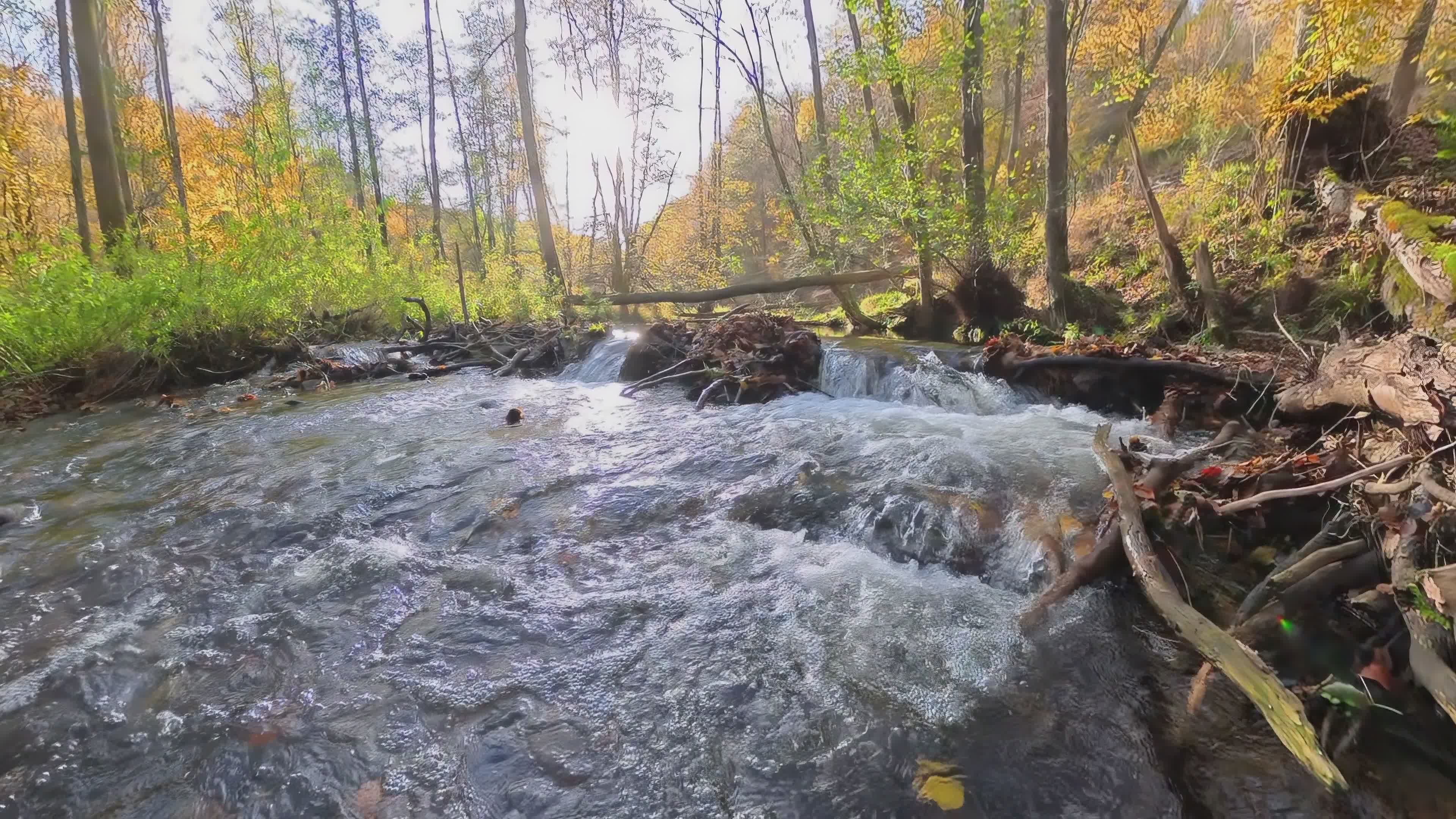 Brown Scenery Videos, Download The BEST Free 4k Stock Video Footage ...