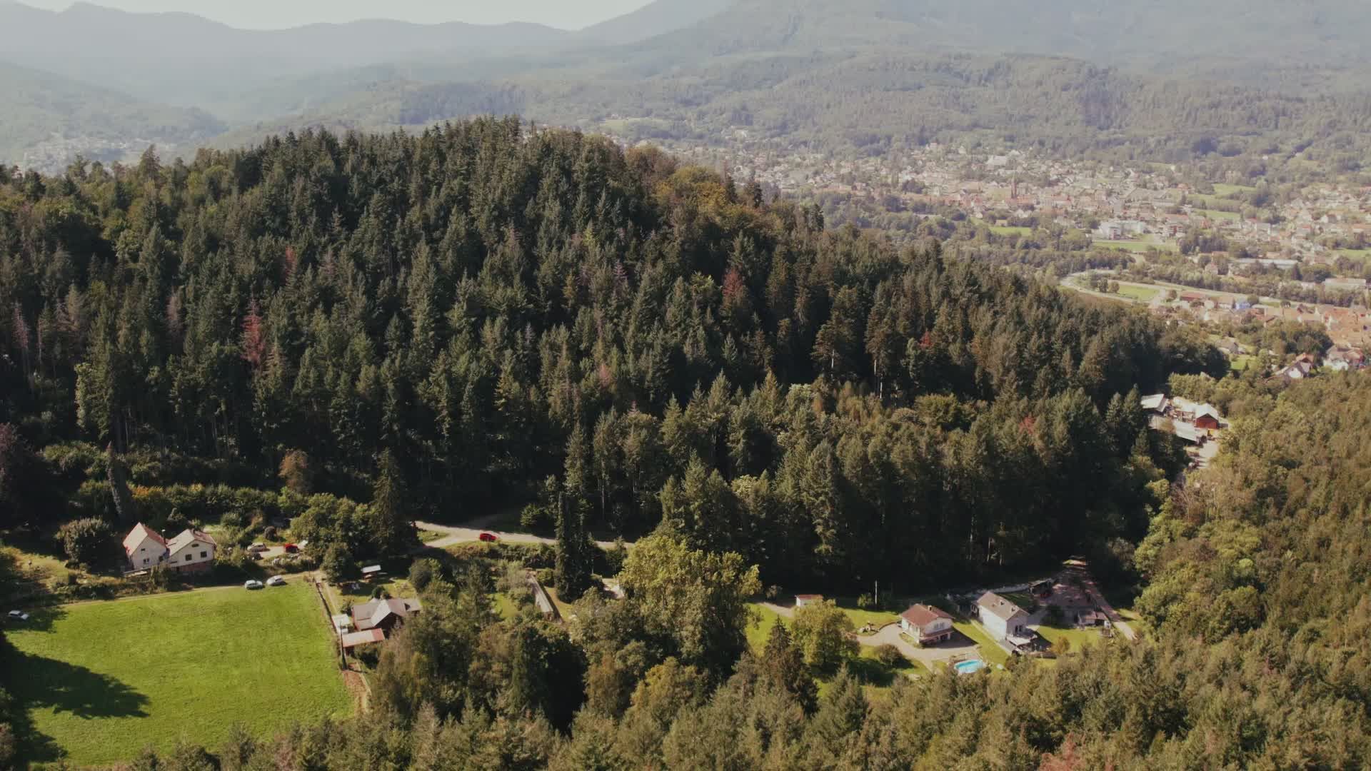 Aerial View of Verdant Forest and Hillside Homes Free Stock Video ...