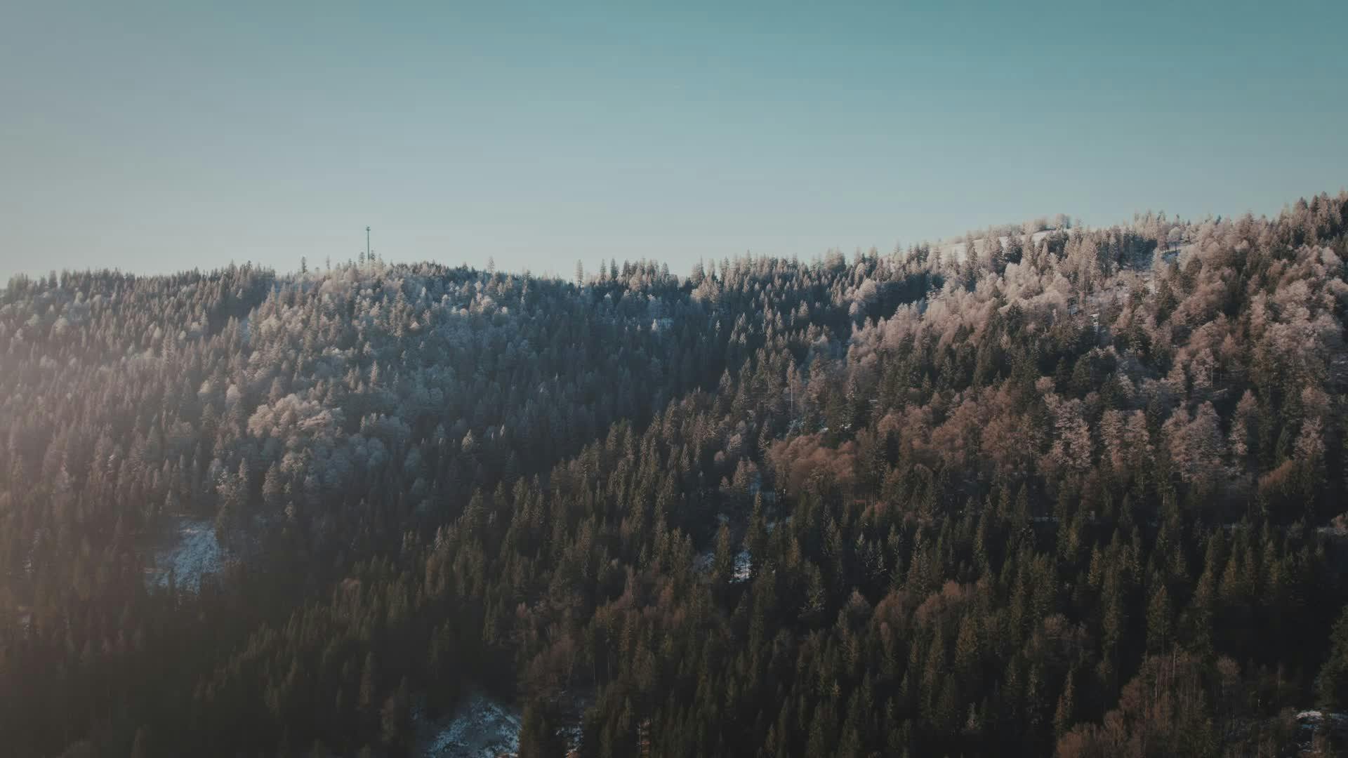 Take+A+Vide Videos, Download The BEST Free 4k Stock Video Footage ...