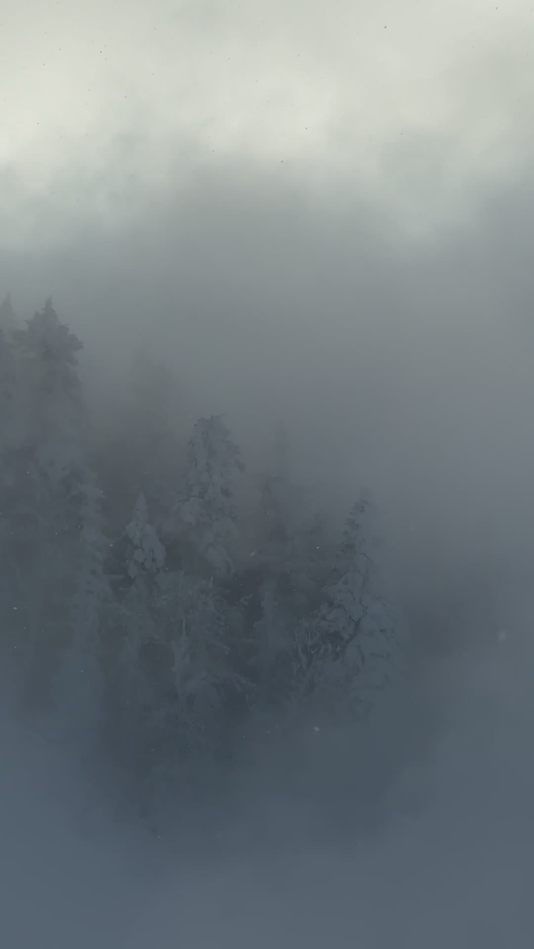 Mystical Winter Fog Over Snowy Forest Landscape Free Stock Video ...
