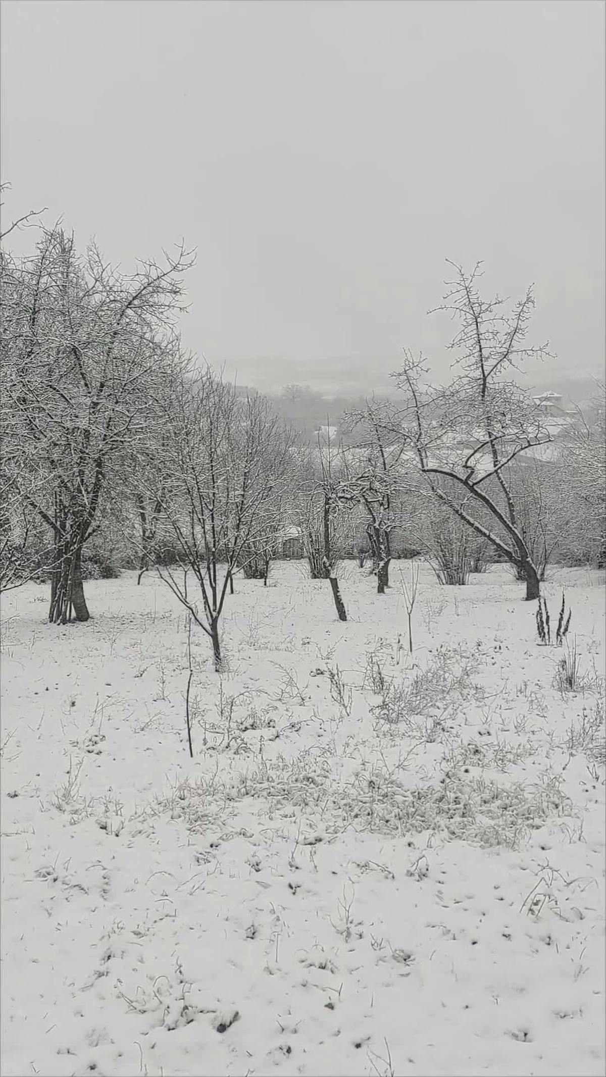 55 413+ Vidéos De Black+ebony+twerk Libre de Droit, Clips Vidéo de Black+ebony+twerk en 4K et HD