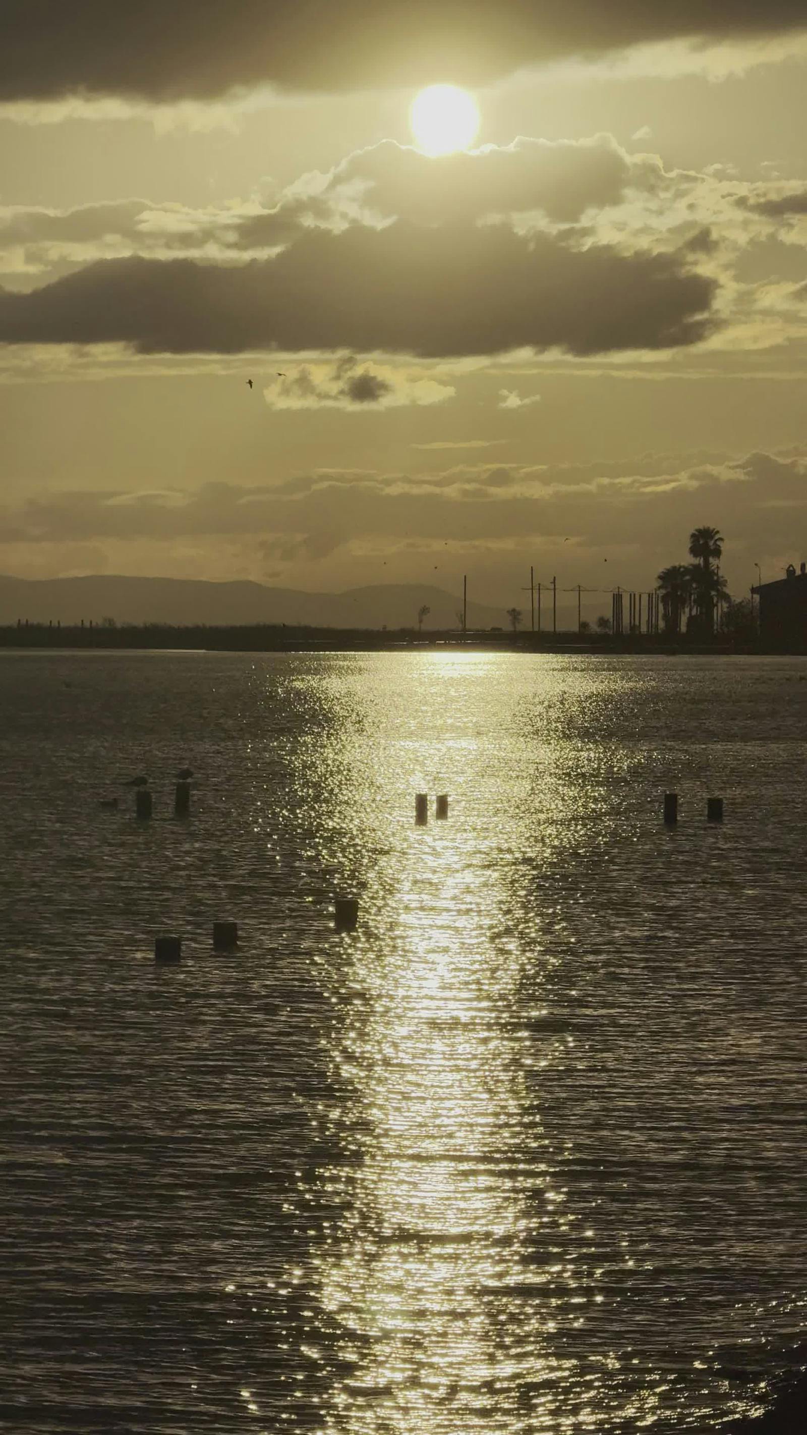 Kolkata+Sexy+Hd+Video Videos, Download The BEST Free 4k Stock Video Footage & Kolkata+Sexy+Hd ...