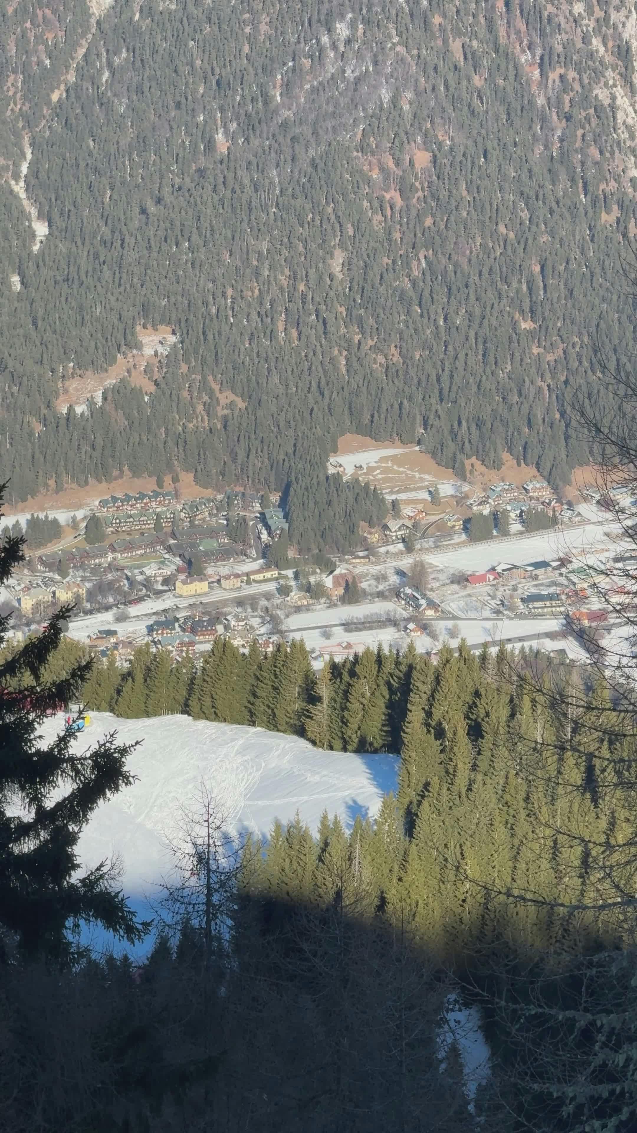 Ooee+Top网站 Videos, Download The BEST Free 4k Stock Video Footage & Ooee ...