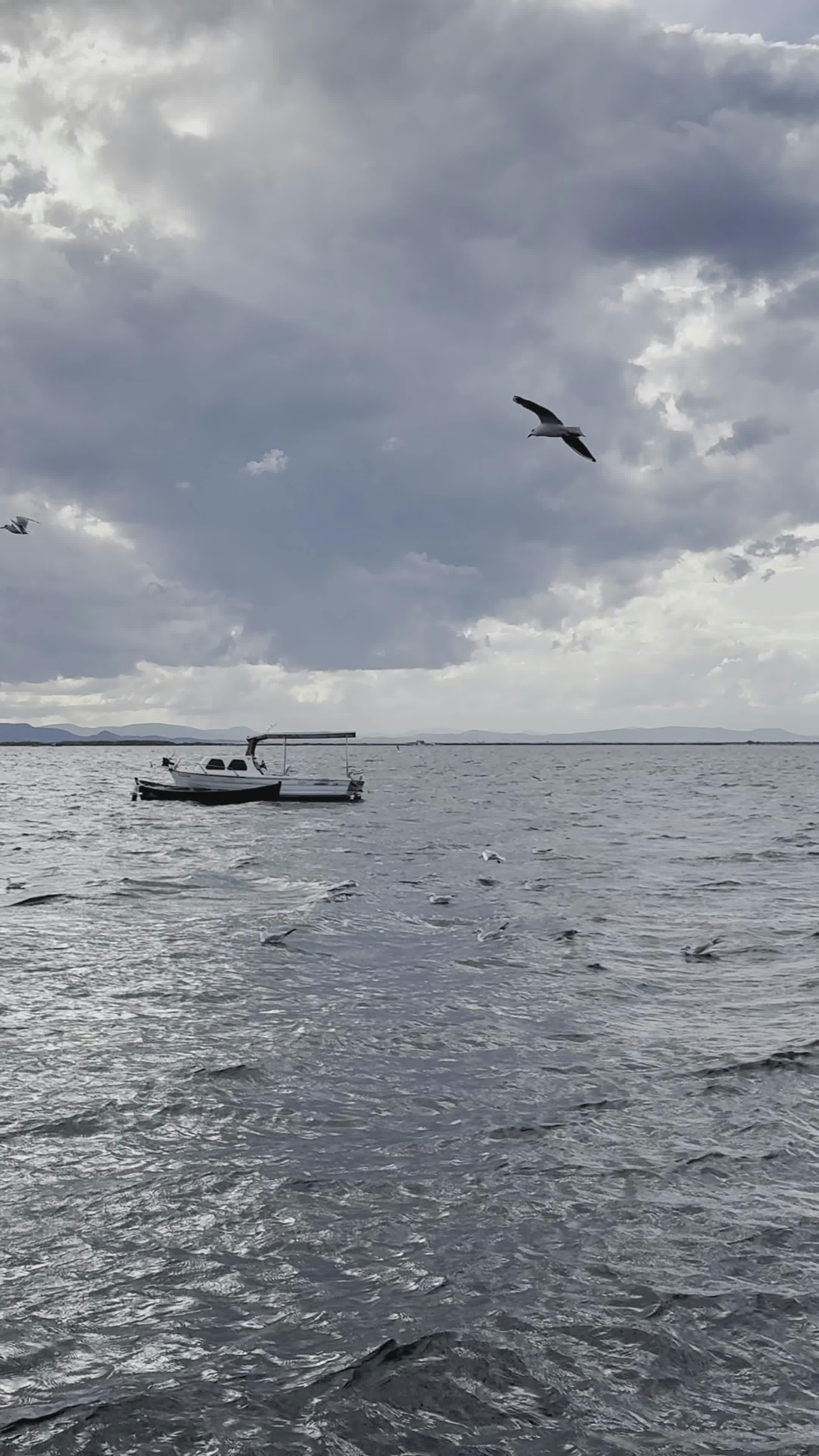 Sxxy+Video Videos, Download The BEST Free 4k Stock Video Footage & Sxxy ...