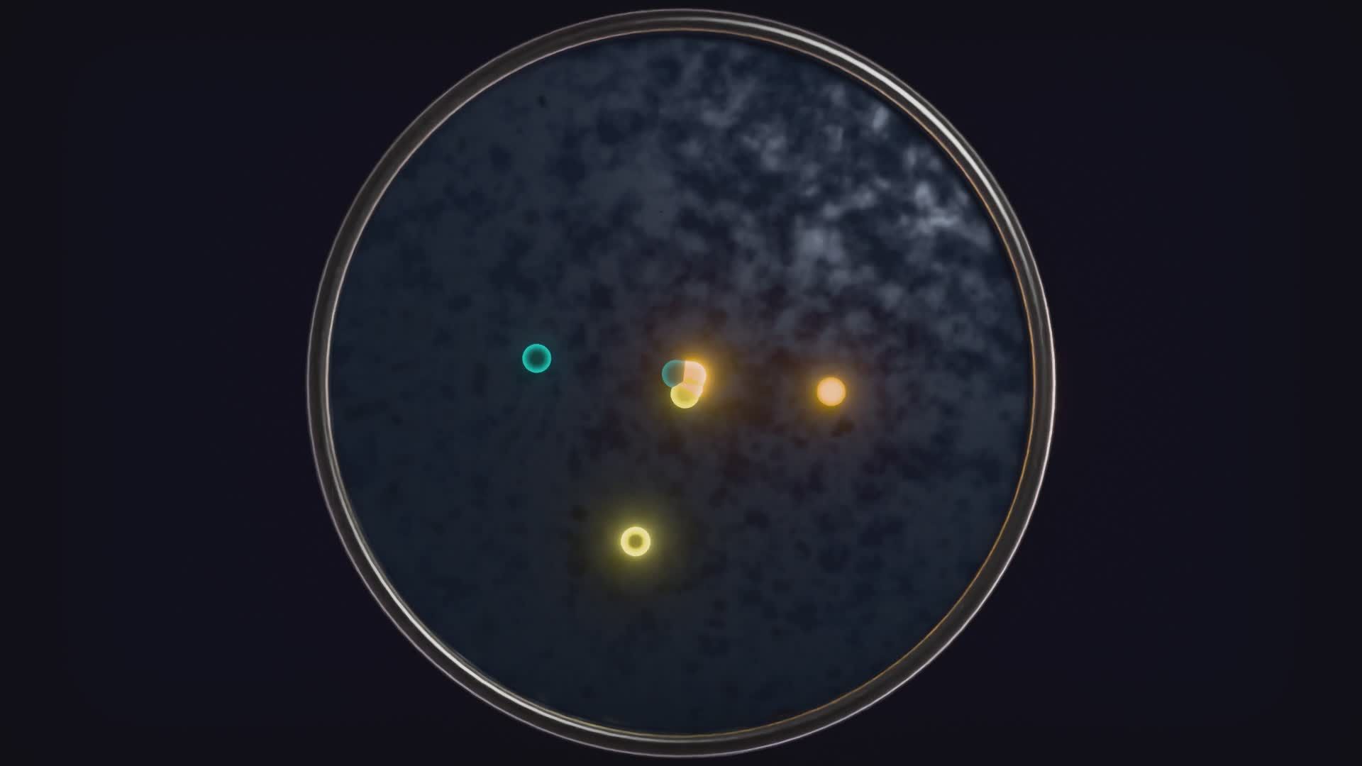 Dynamic Particle Animation in Circular Motion Free Stock Video Footage ...