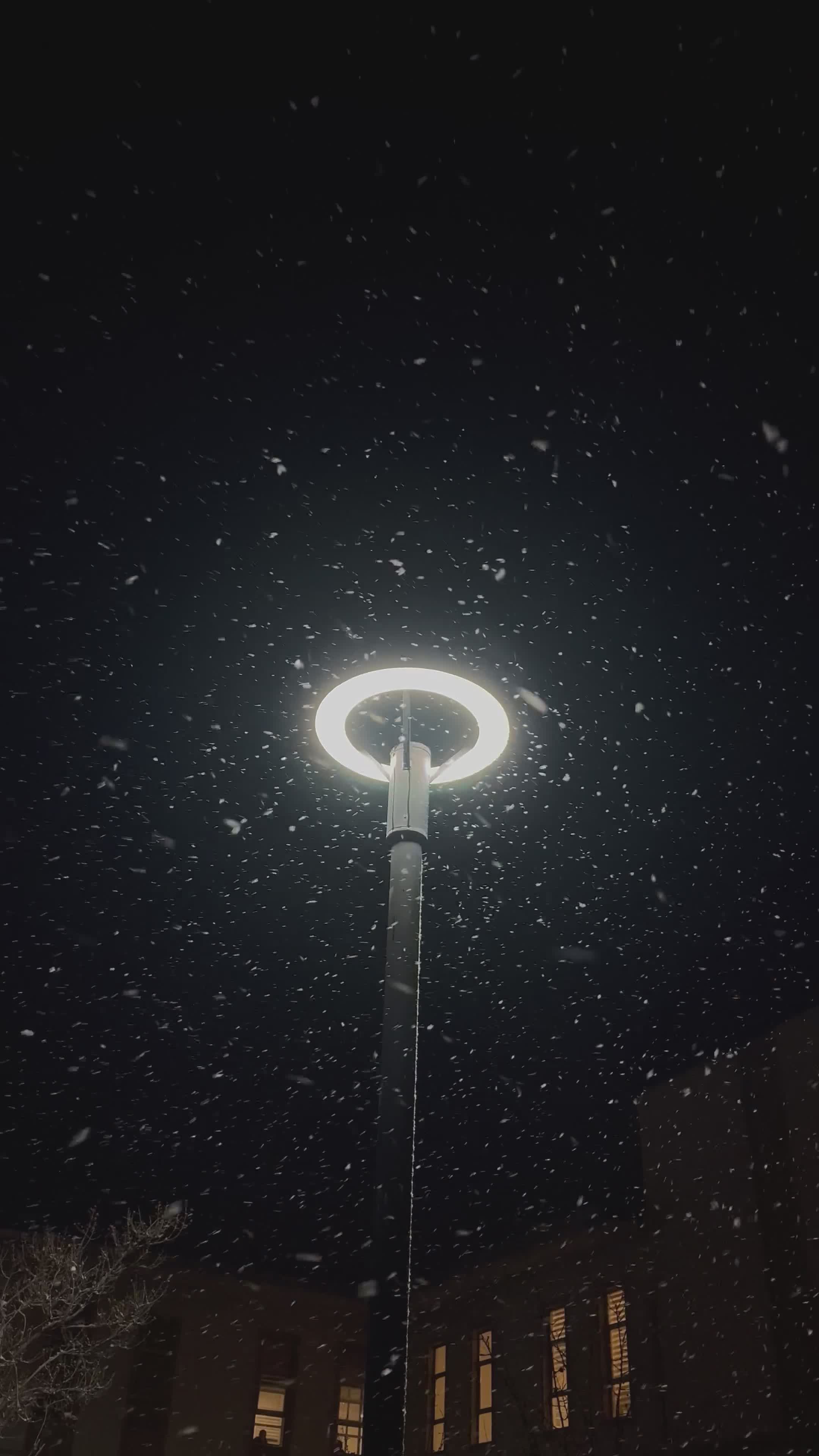Snow Falling Peacefully Under Streetlight at Night Free Stock Video ...