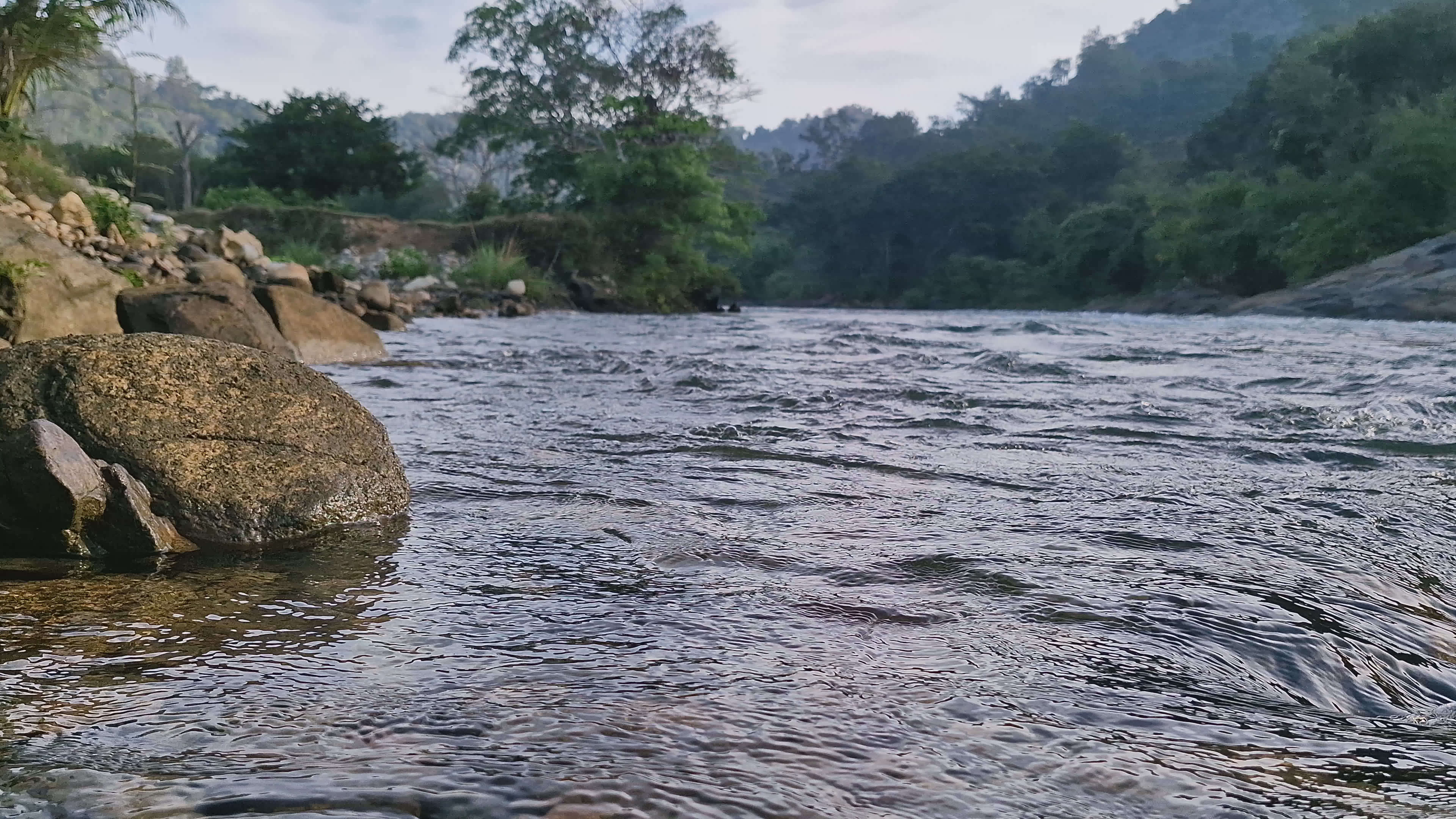 Coorg India Natura Videos, Download The BEST Free 4k Stock Video ...