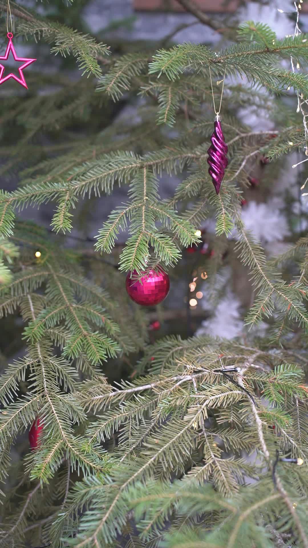 Dan+Dangler+Red+Shirt+49ers Videos, Download The BEST Free 4k Stock ...