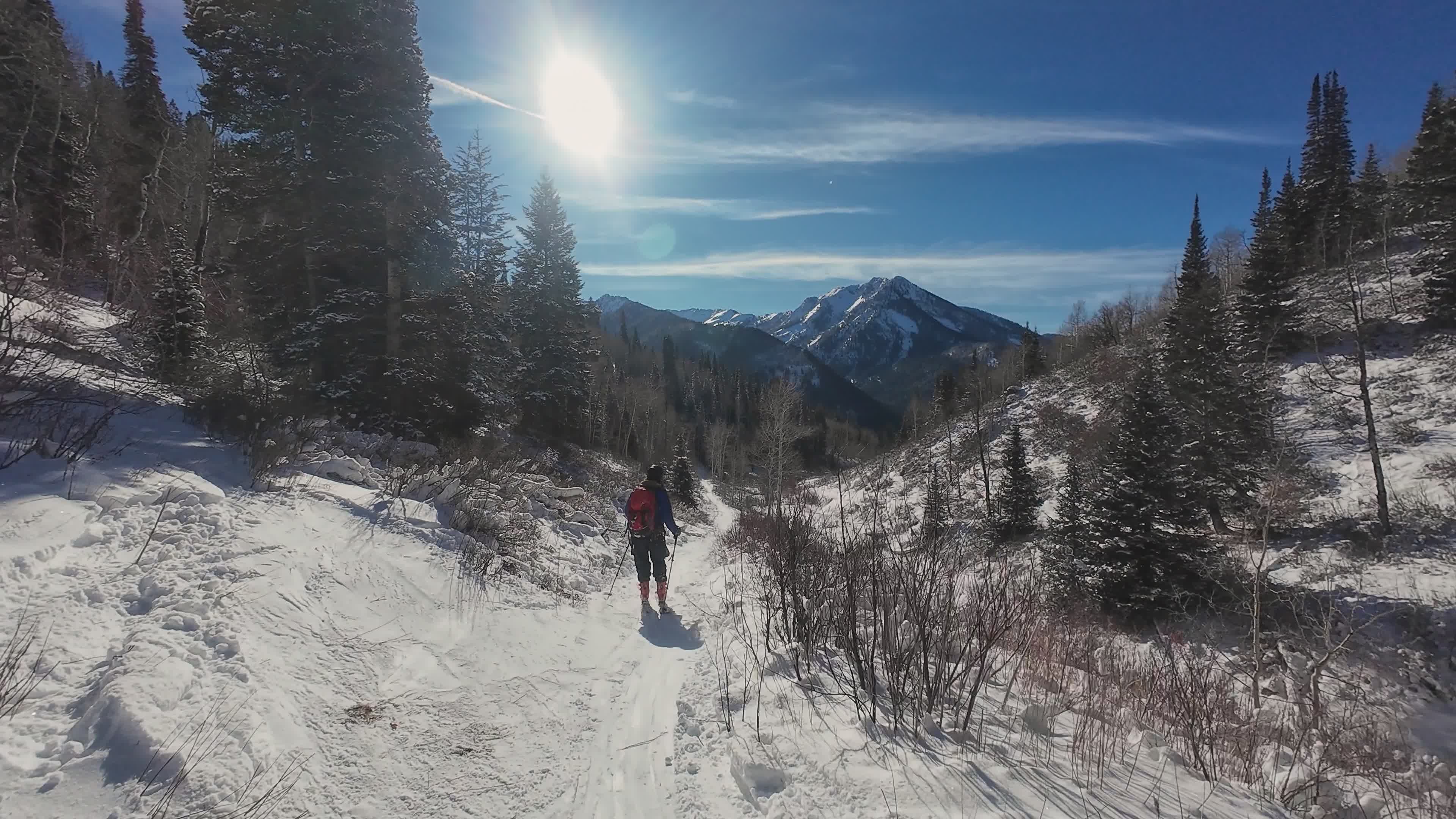 Winter Backcountry Skiing in Utah Mountains Free Stock Video Footage ...