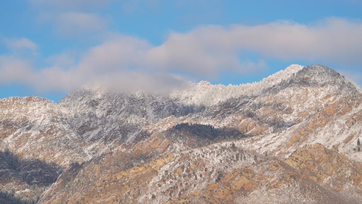 Big+Black+Man+Twerking Videos, Download The BEST Free 4k Stock Video ...