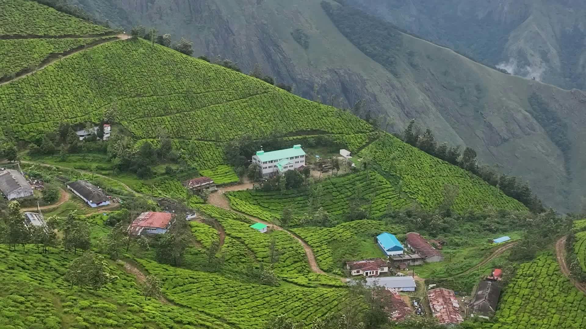 Aerial View of Lush Green Hills in Munnar Free Stock Video Footage ...
