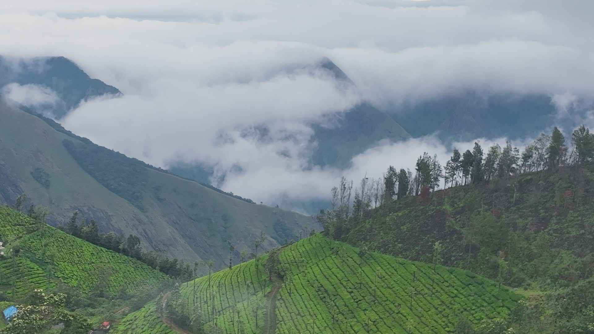 Aerial View of Misty Munnar Mountains and Tea Plantations Free Stock ...