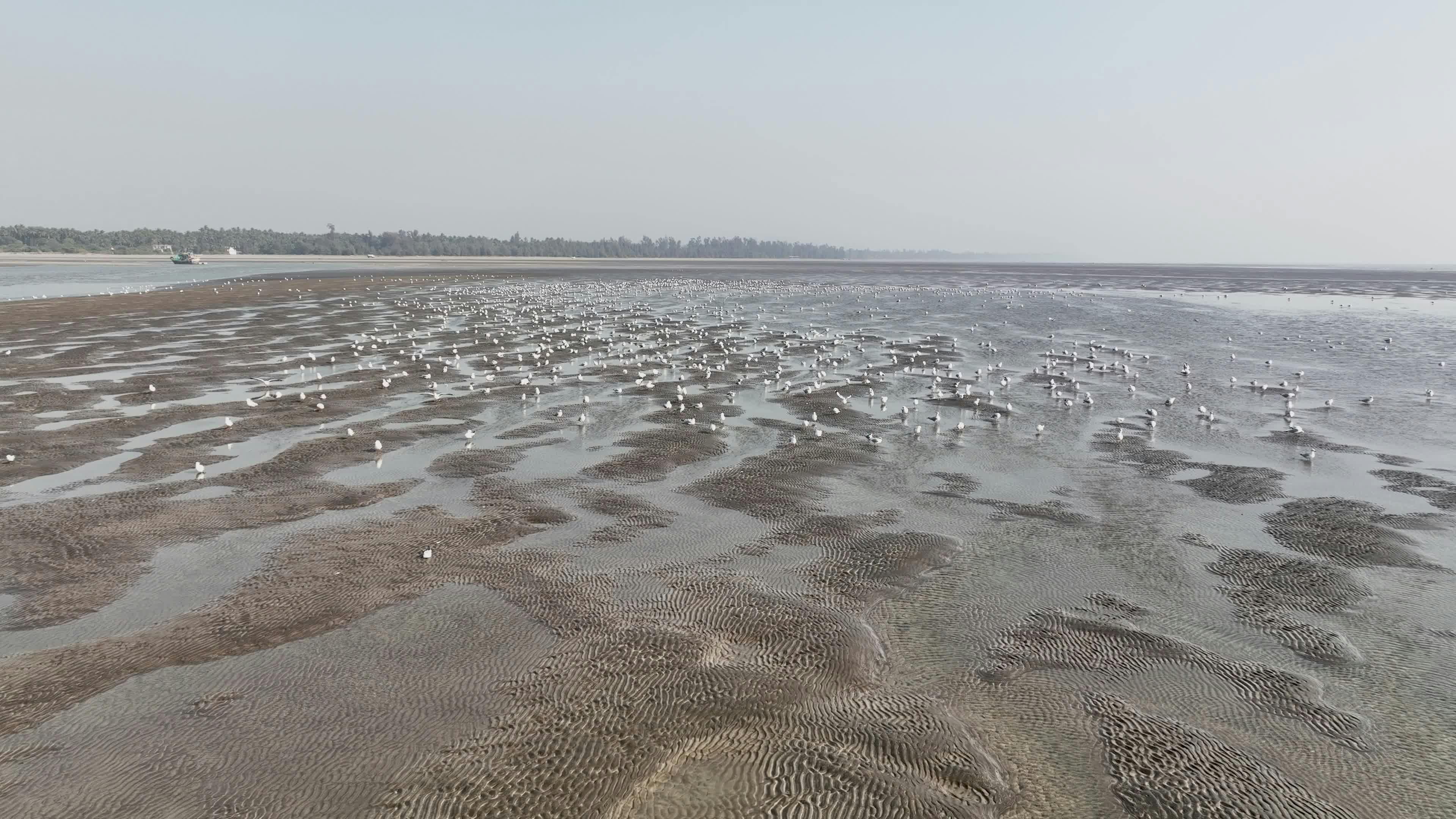 127.842+ Besten Hoby-buchanon-video-compilation Kostenlose Videos ...