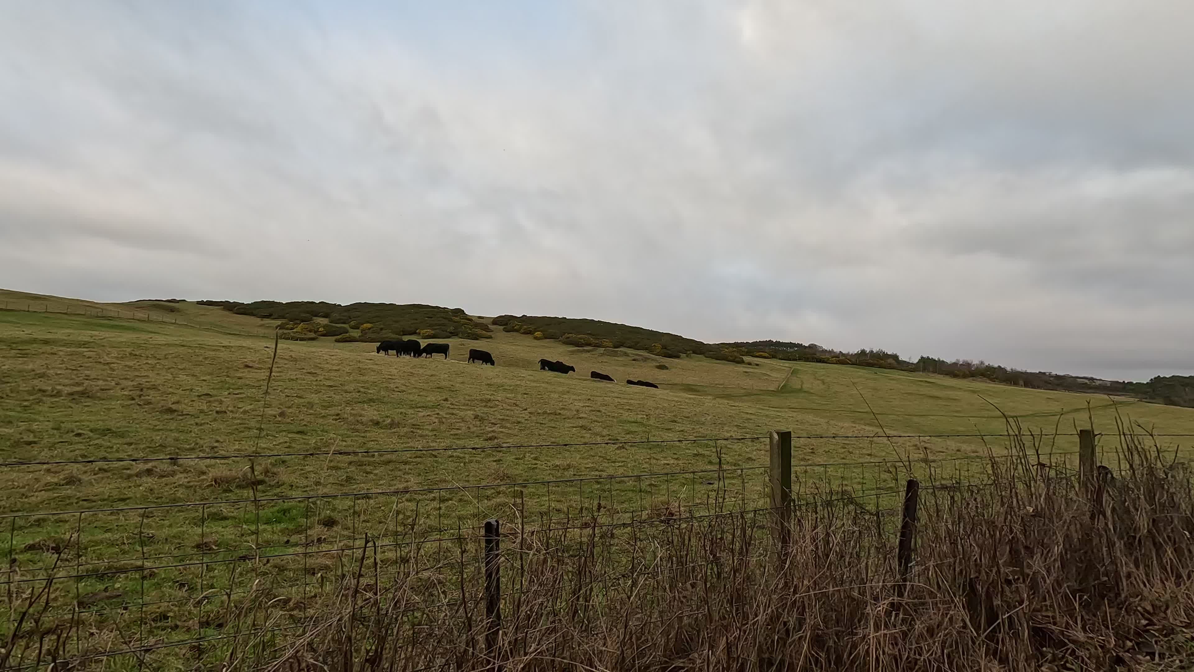 Pans写真私拍 Videos, Download The BEST Free 4k Stock Video Footage & Pans ...