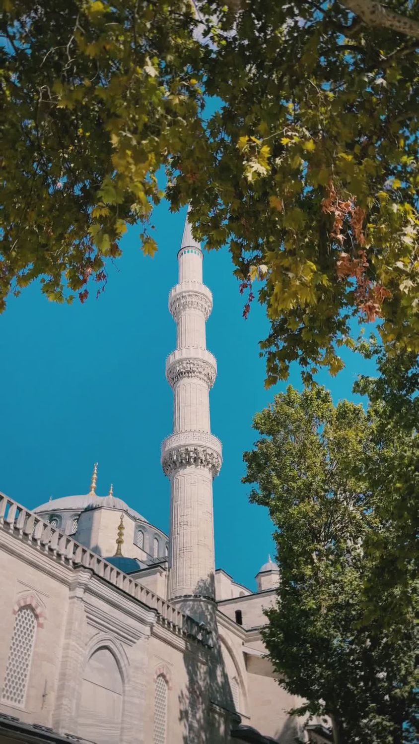 Majestic Mosque Minaret Through Lush Trees Free Stock Video Footage ...