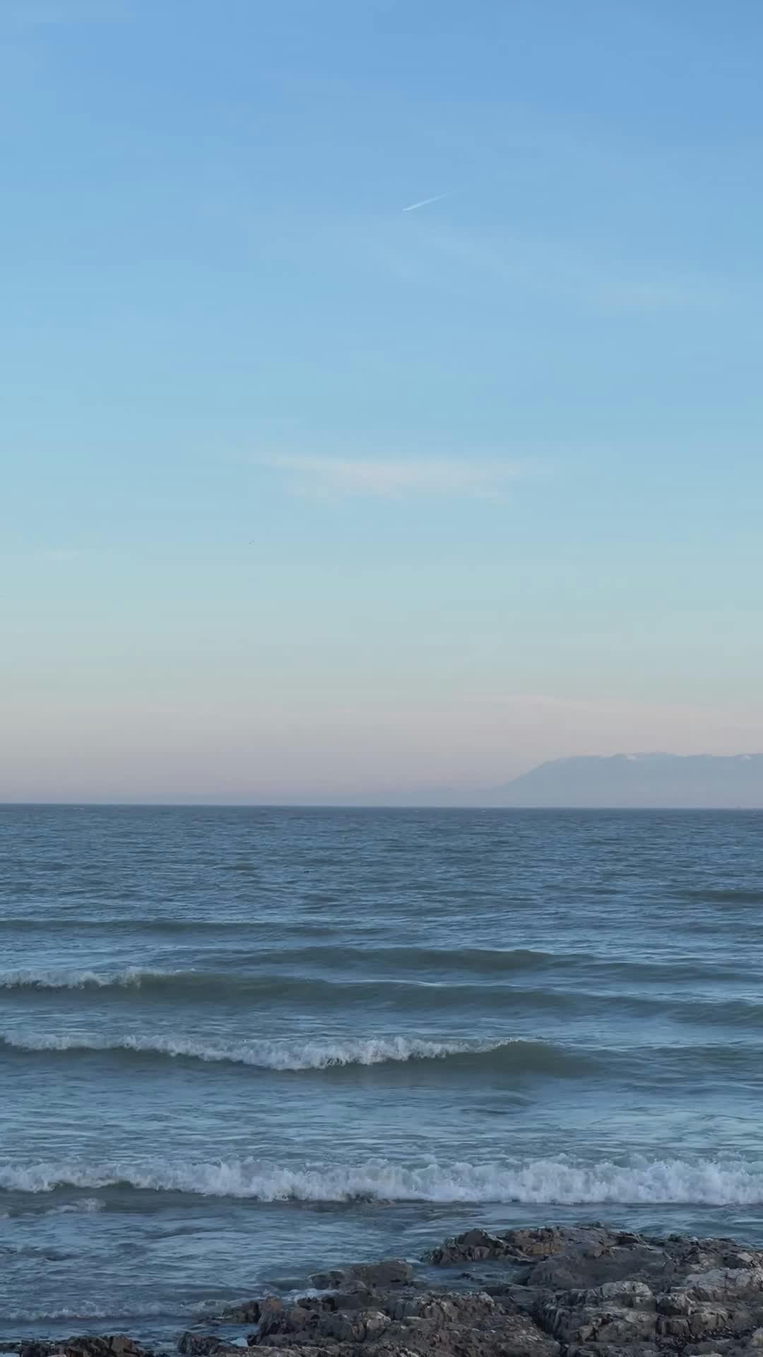 Simple+Simple Videos, Download The BEST Free 4k Stock Video Footage ...