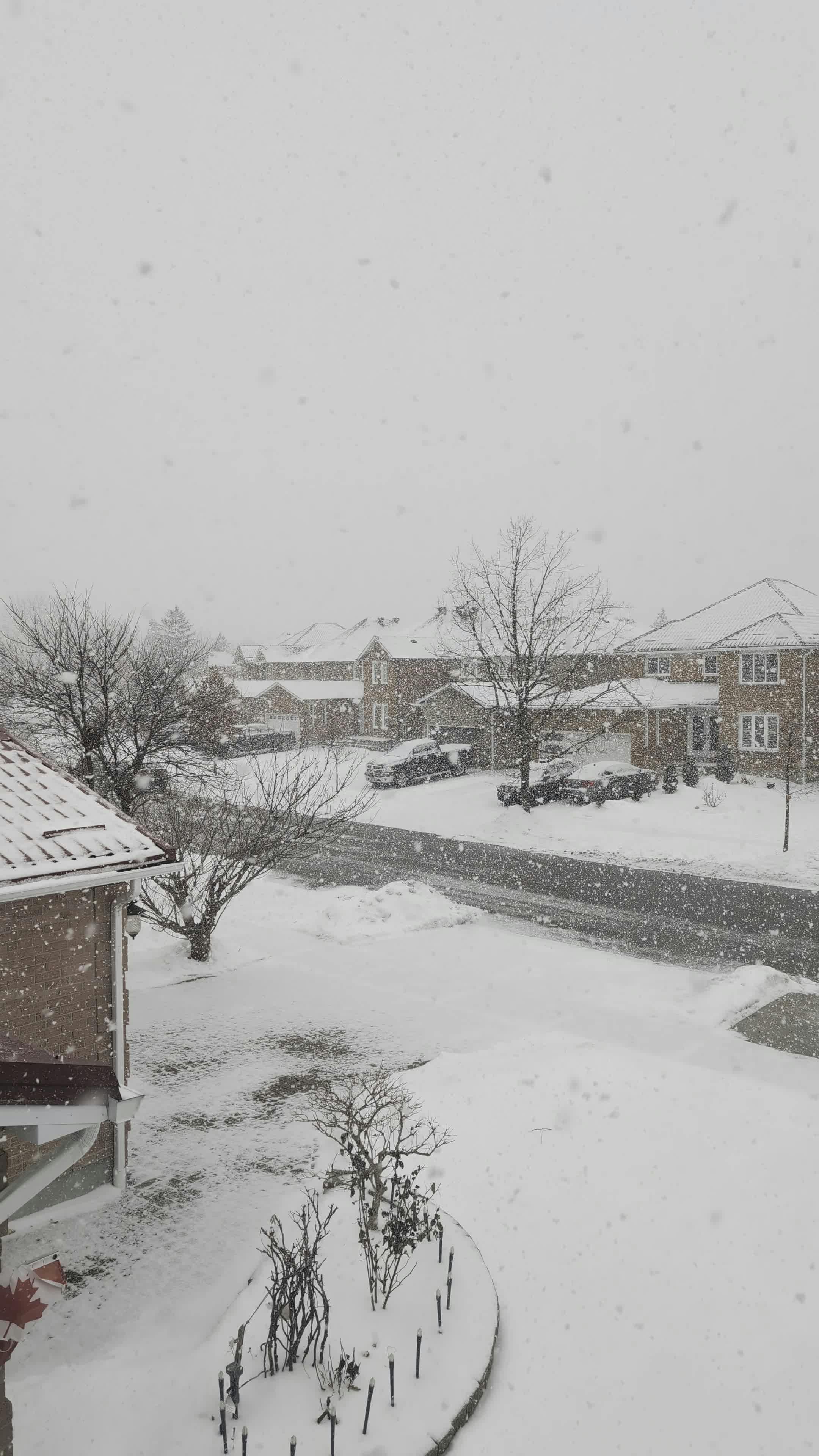 Nevadas Invernales En Un Tranquilo Barrio Suburbano · Vídeo de stock ...