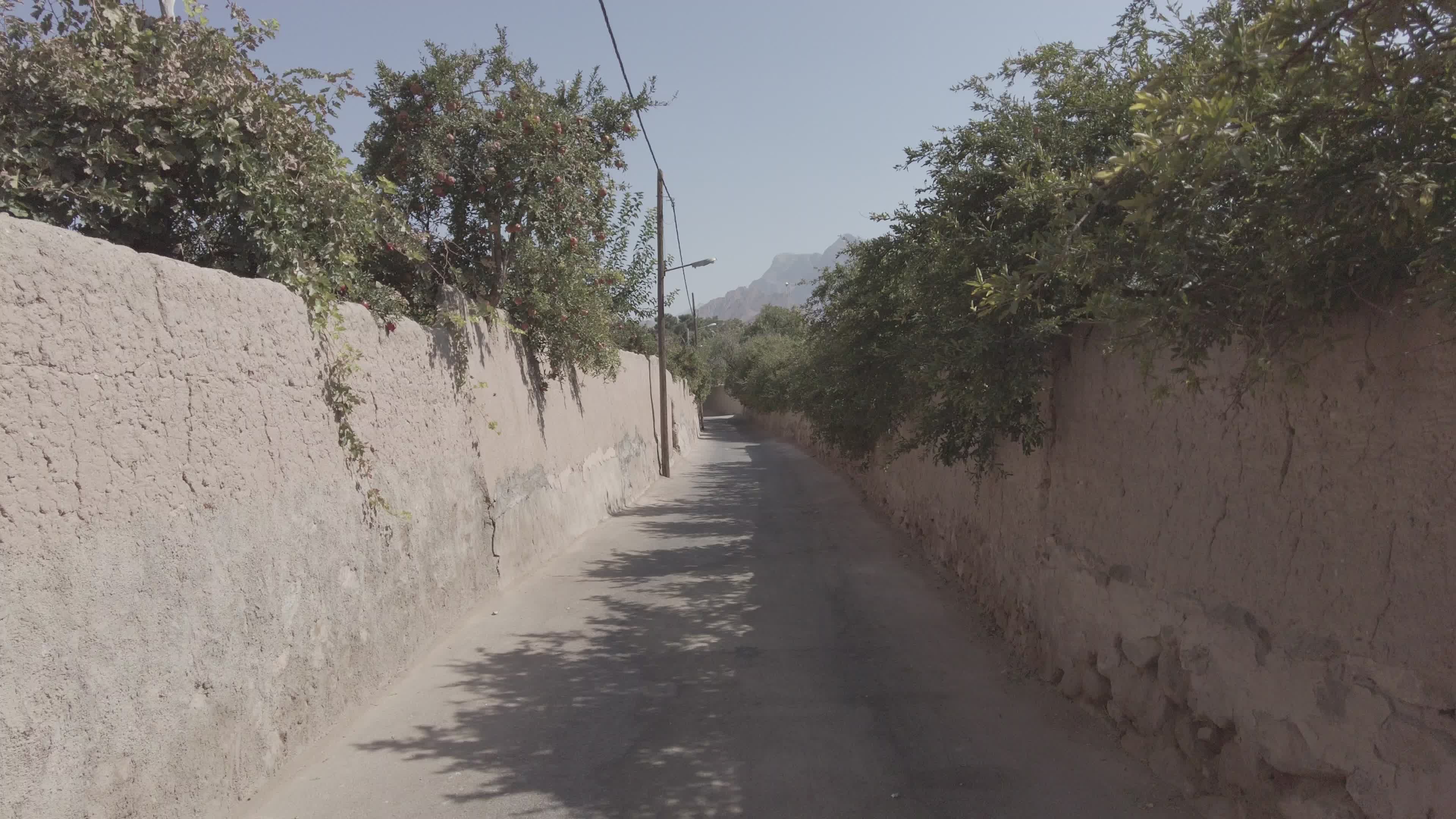 Sunny Narrow Road with Stone Walls and Foliage Free Stock Video Footage ...