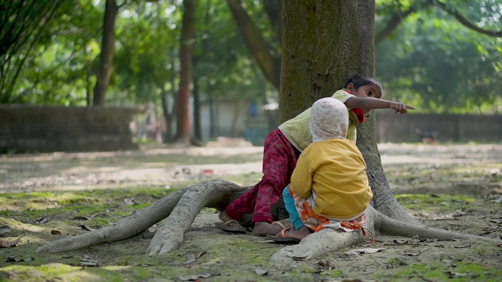 Children Playing Around a Village Tree Outdoors Free Stock Video ...