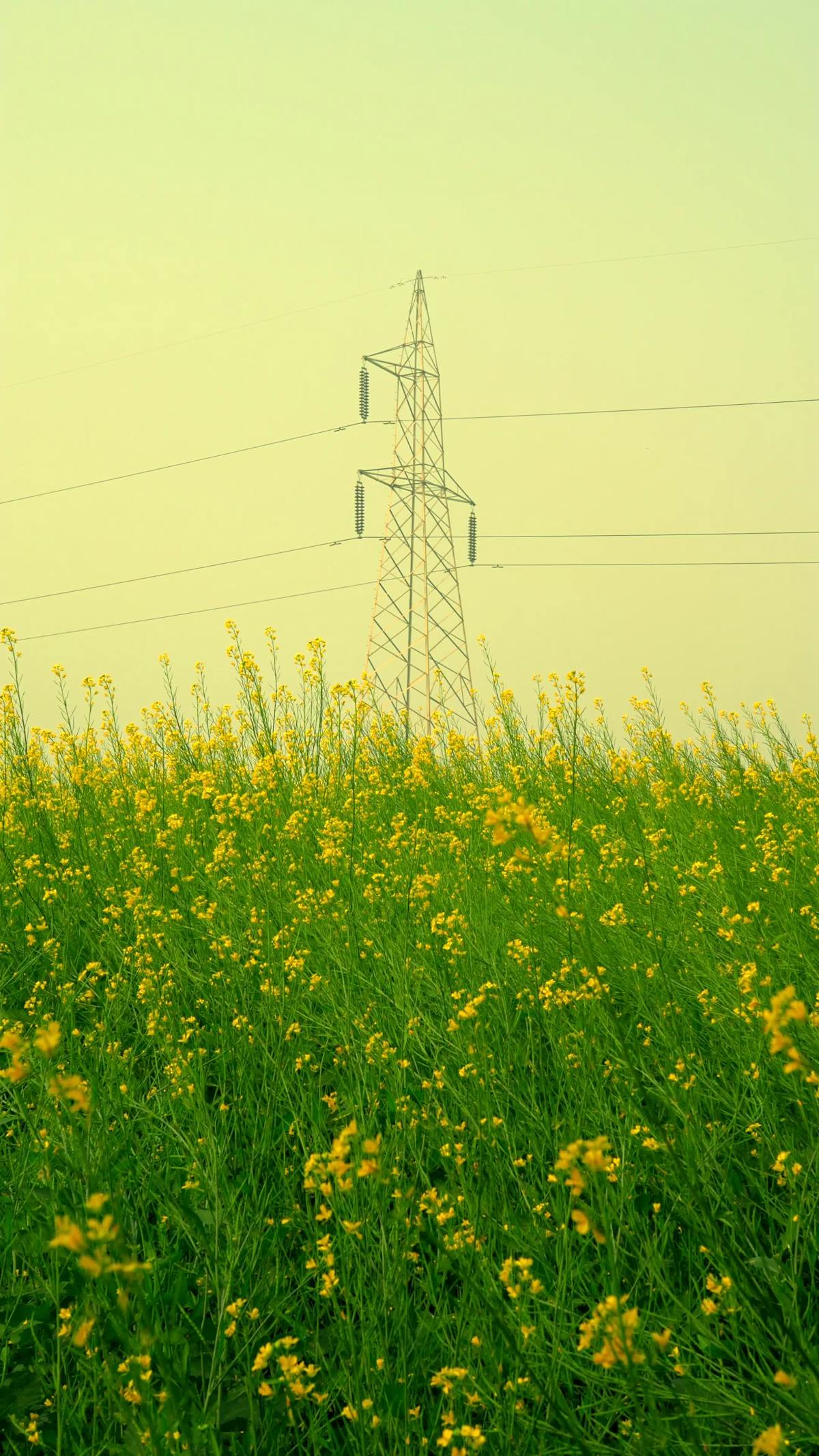 Xxl+Promo+Video Videos, Download The BEST Free 4k Stock Video Footage ...