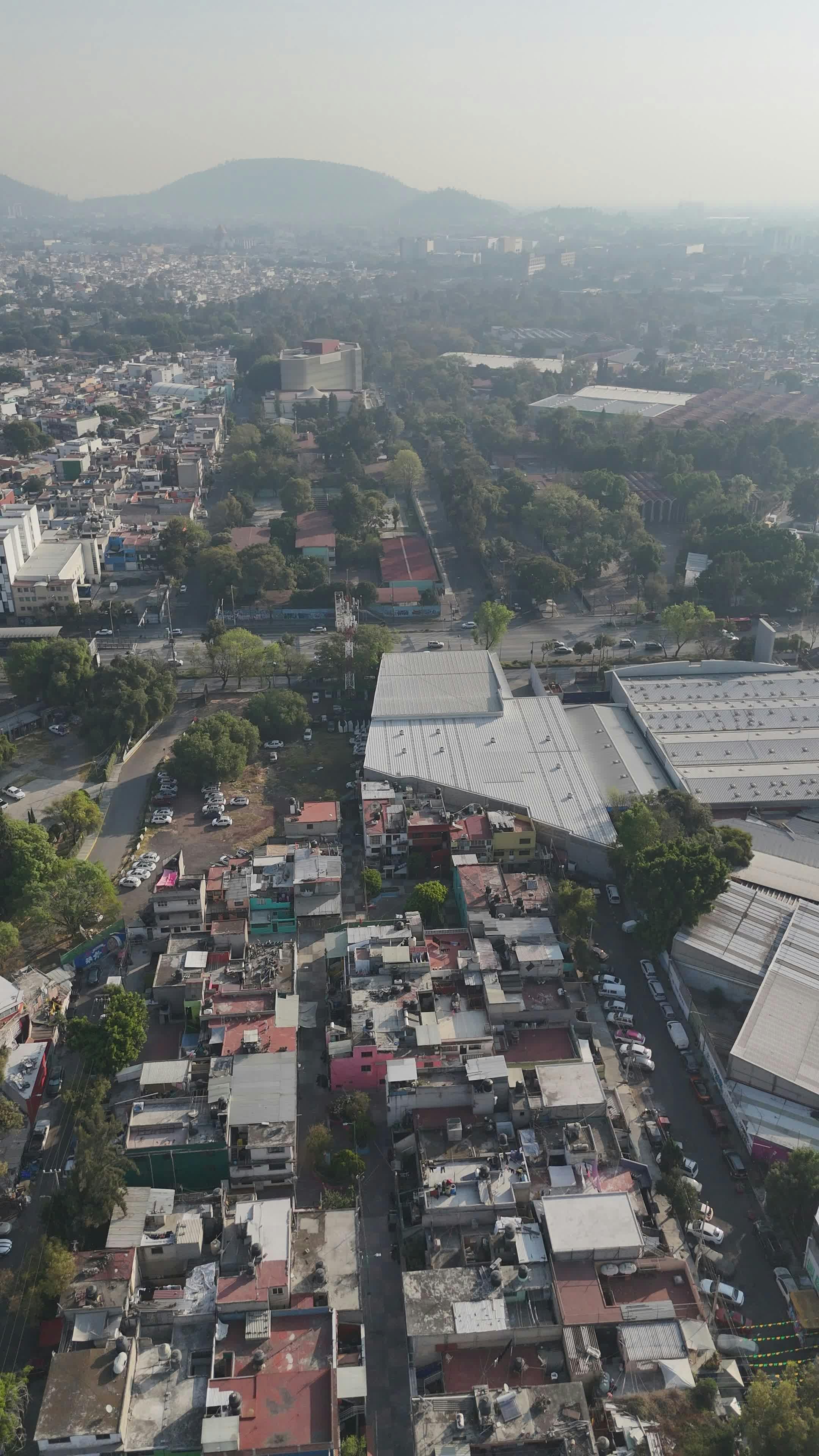 3 077+ Vidéos De Hoby-buchanon-latina Libre de Droit, Clips Vidéo de ...